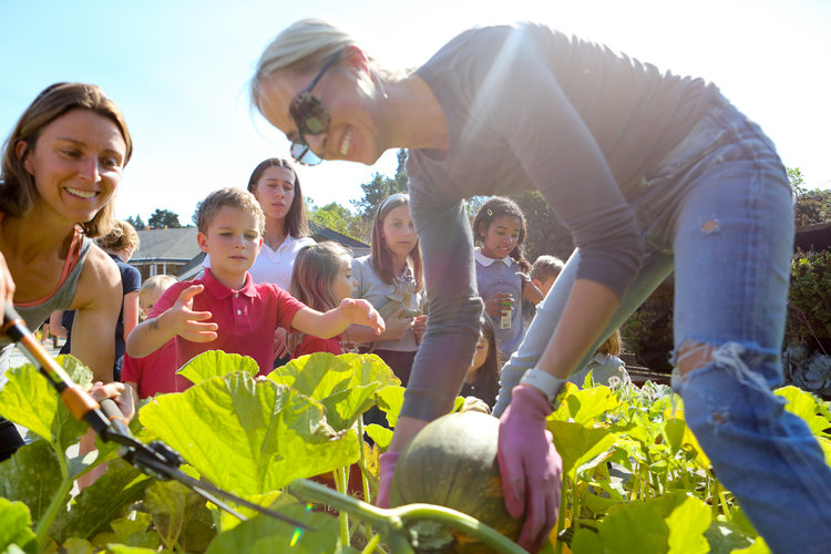 Getting Into Gardening | Blog
