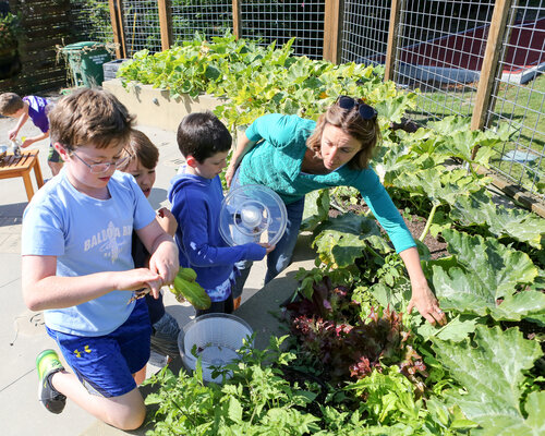 Getting Into Gardening | Blog