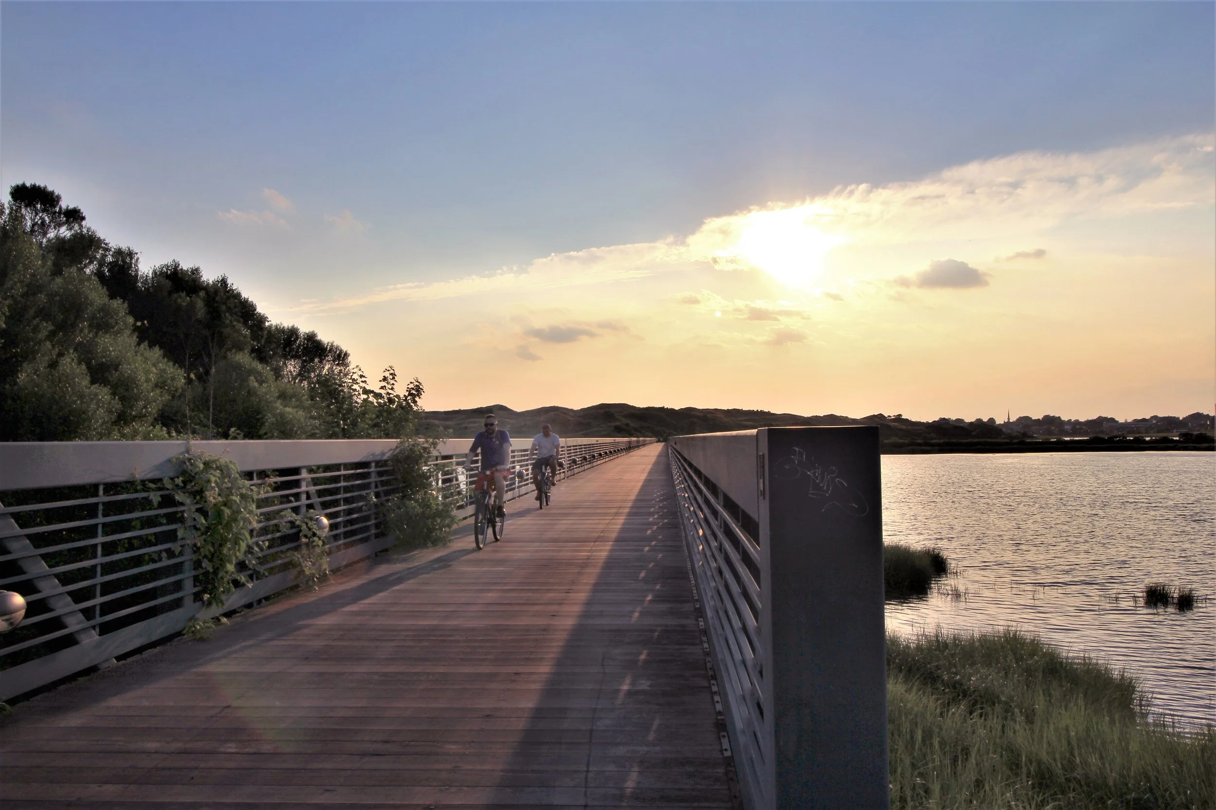 PUBLIC — MARGIE RUDDICK LANDSCAPE