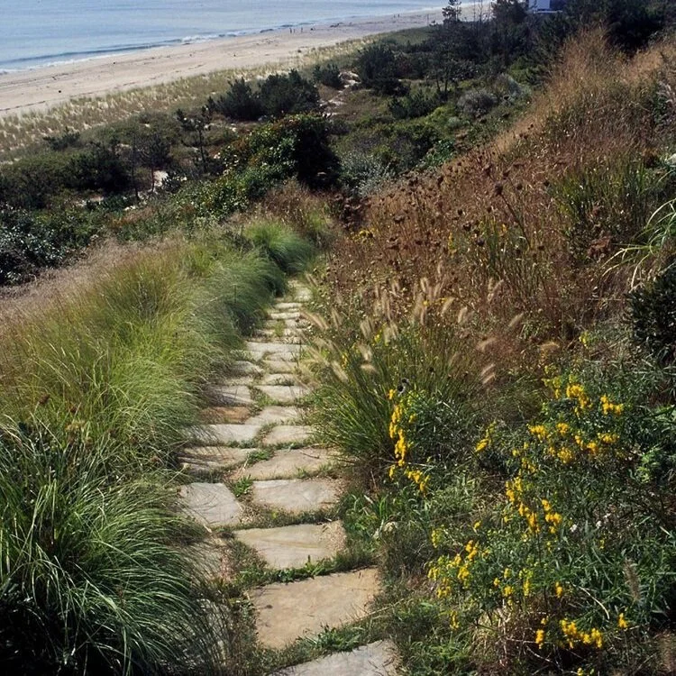 ALL — MARGIE RUDDICK LANDSCAPE