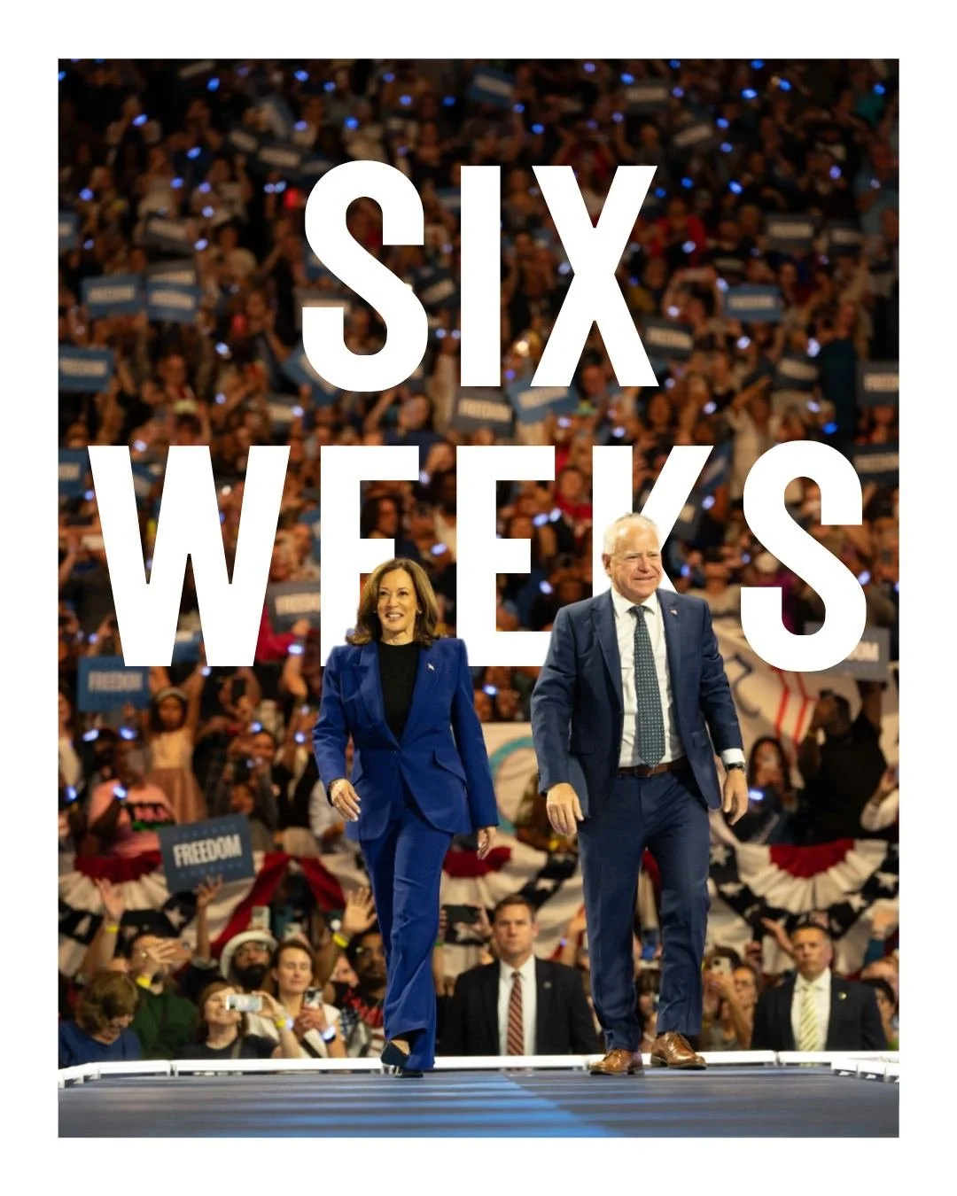 Educate, Engage & ACTIVATE — LaborVotes.NYC