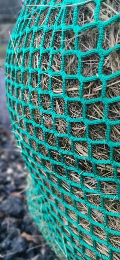 Shop — Nibbleze Haynets