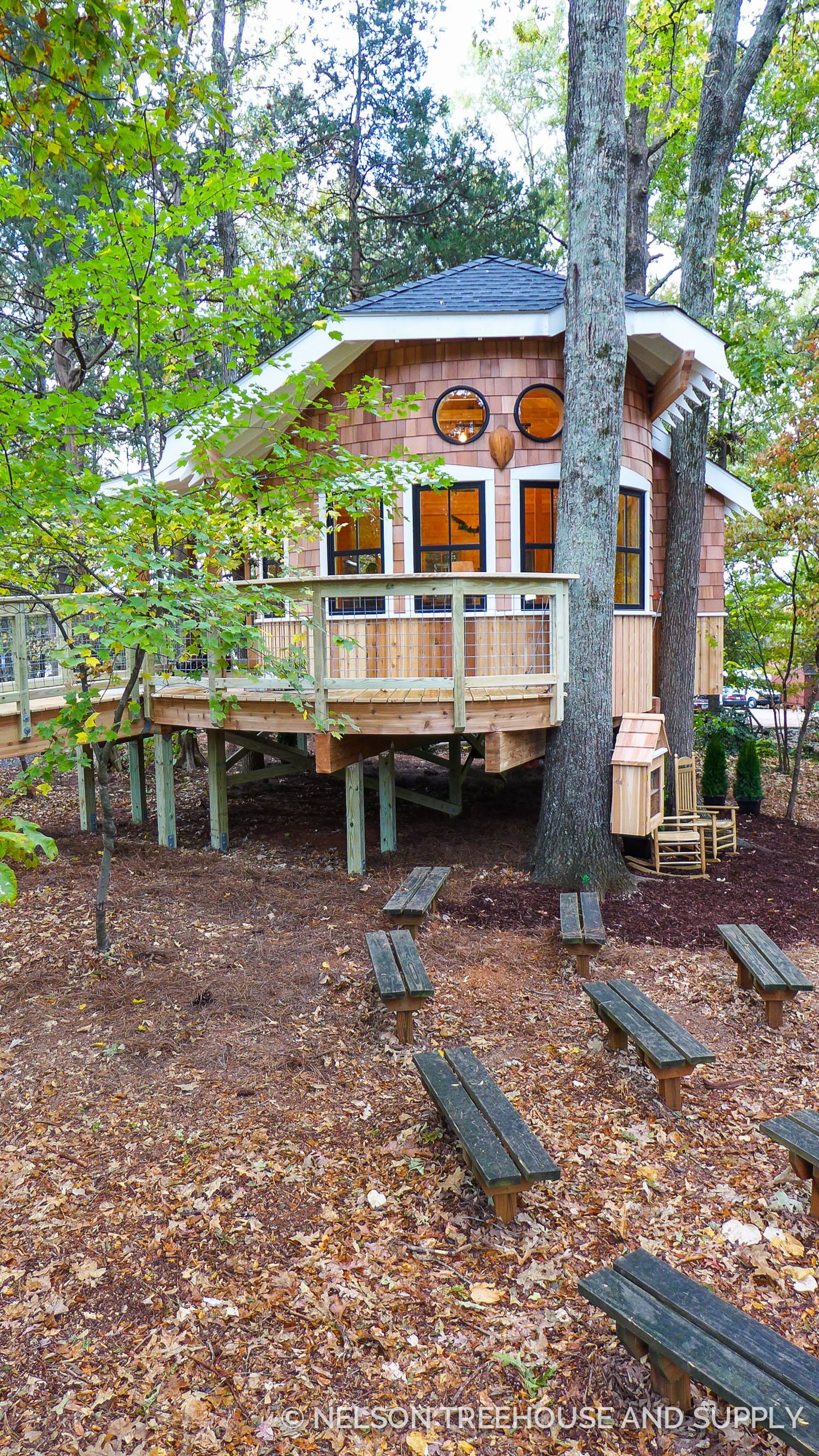 Photo Tour: Owl's Nest Treehouse Library — Nelson Treehouse