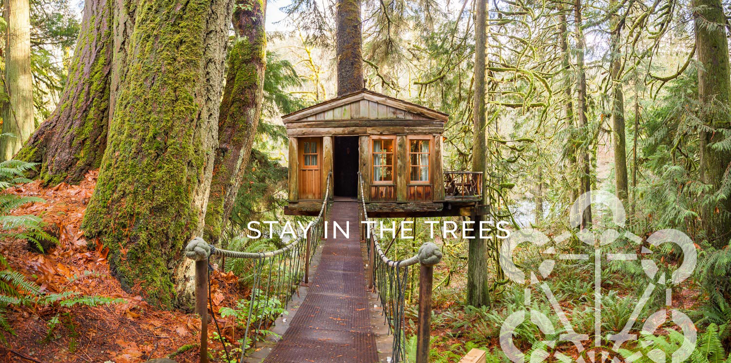 Stay in a Treehouse — Nelson Treehouse