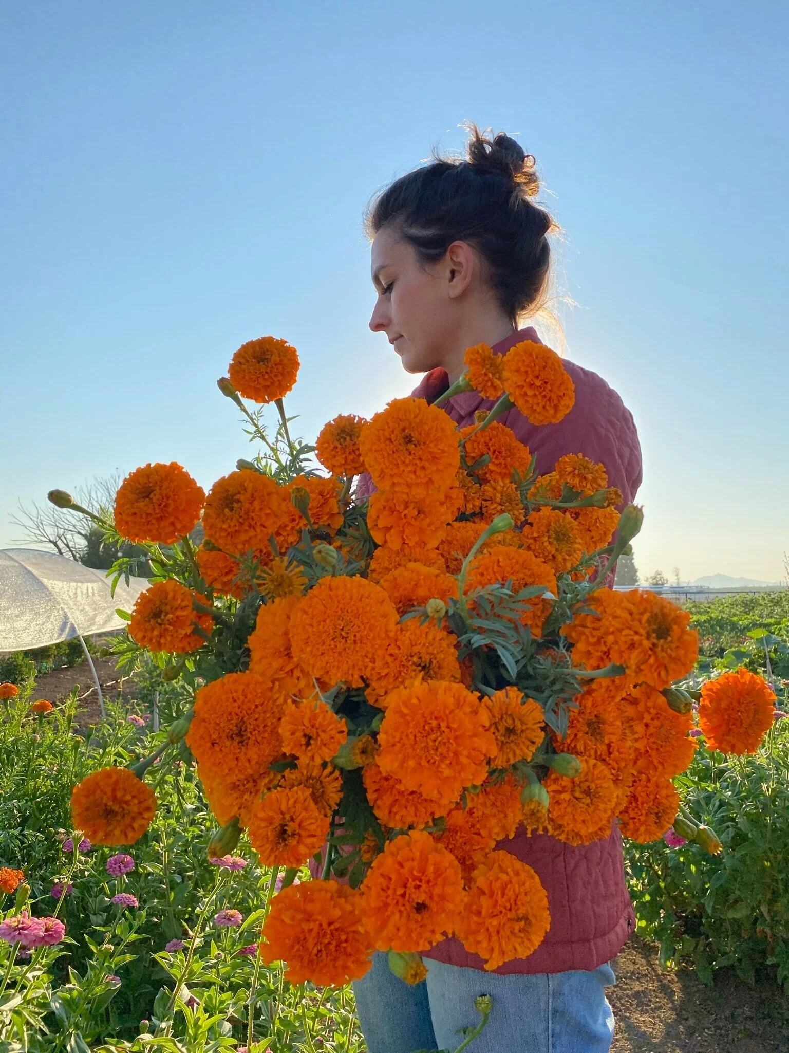 Gallery — Calhoun Flower Farms