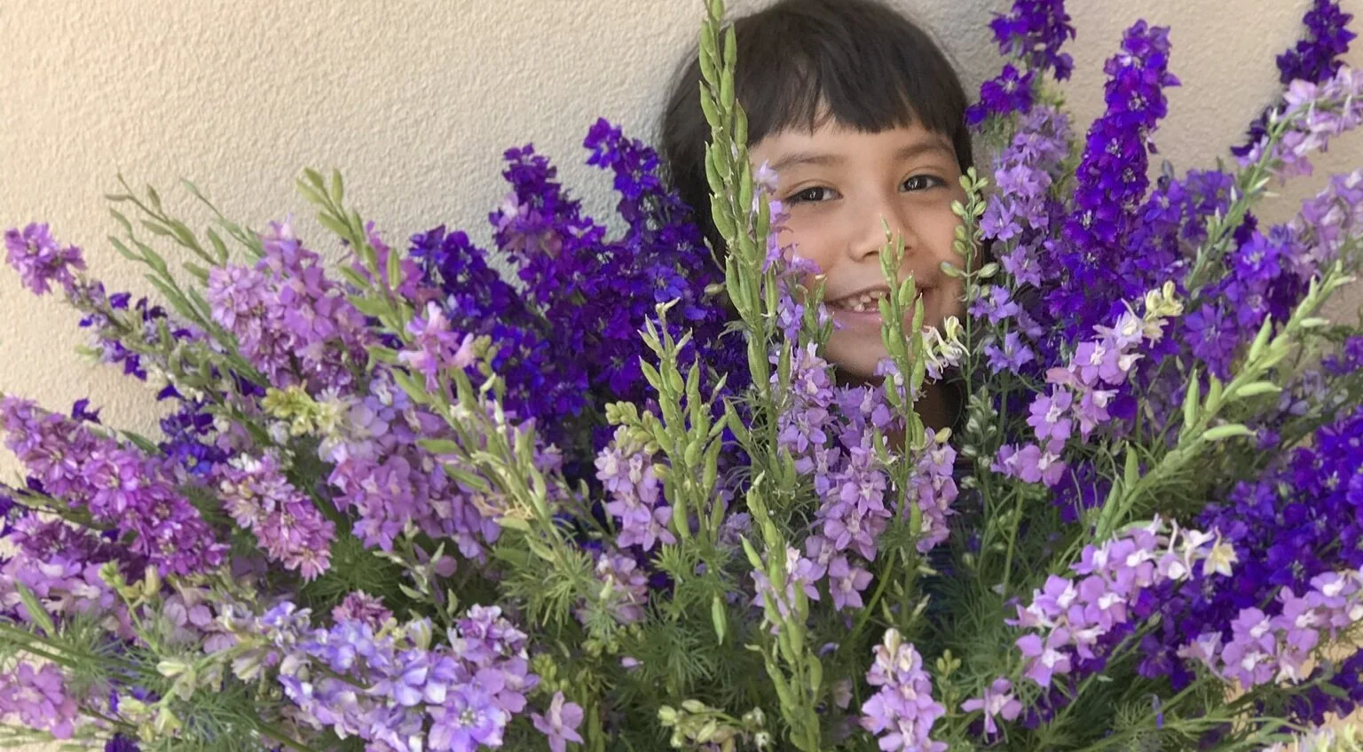 Gallery — Calhoun Flower Farms