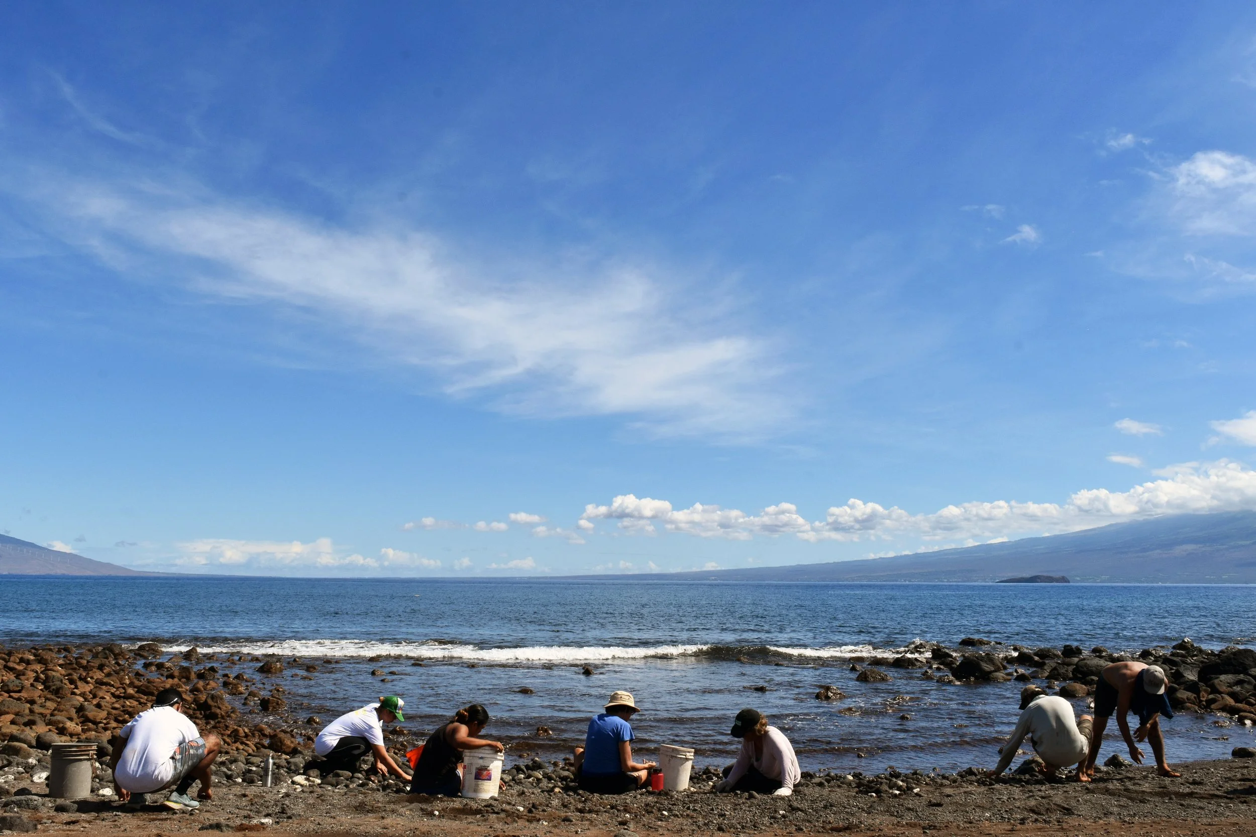 Hoʻākea Source — Pu'uhonua Society