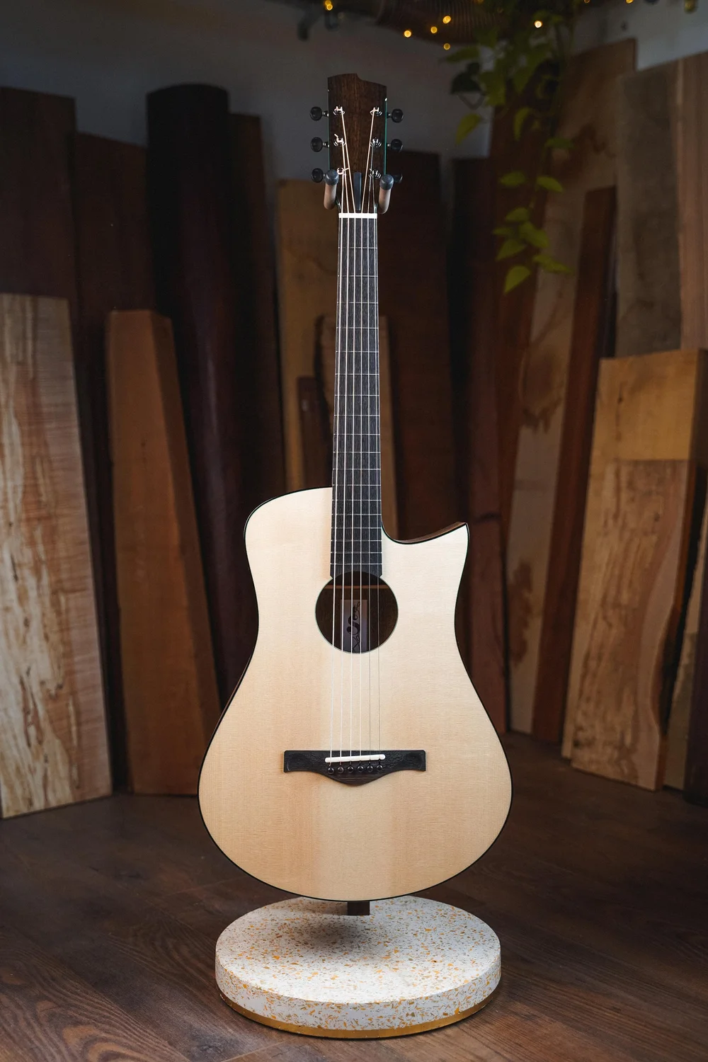 'Regia' - German Spruce / English Walnut - Model S — Tom Sands Guitars