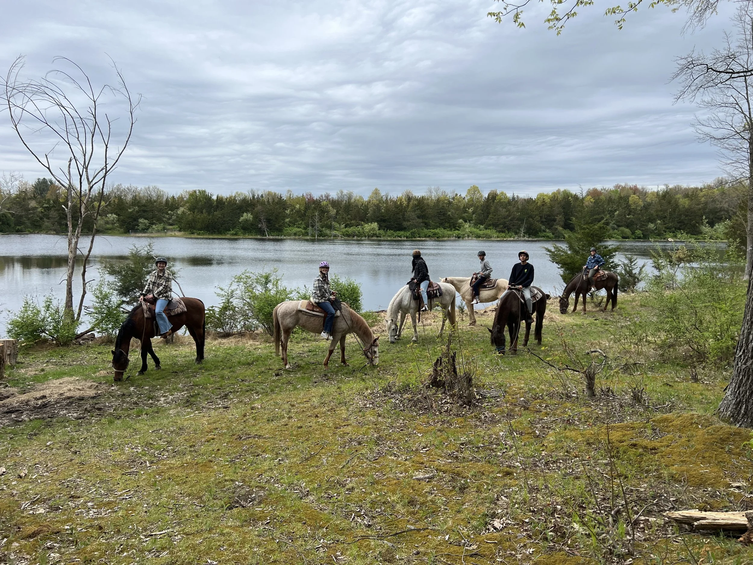 Contact — MISTY HOLLOW HORSE FARM / HORSEBACK RIDING CENTER