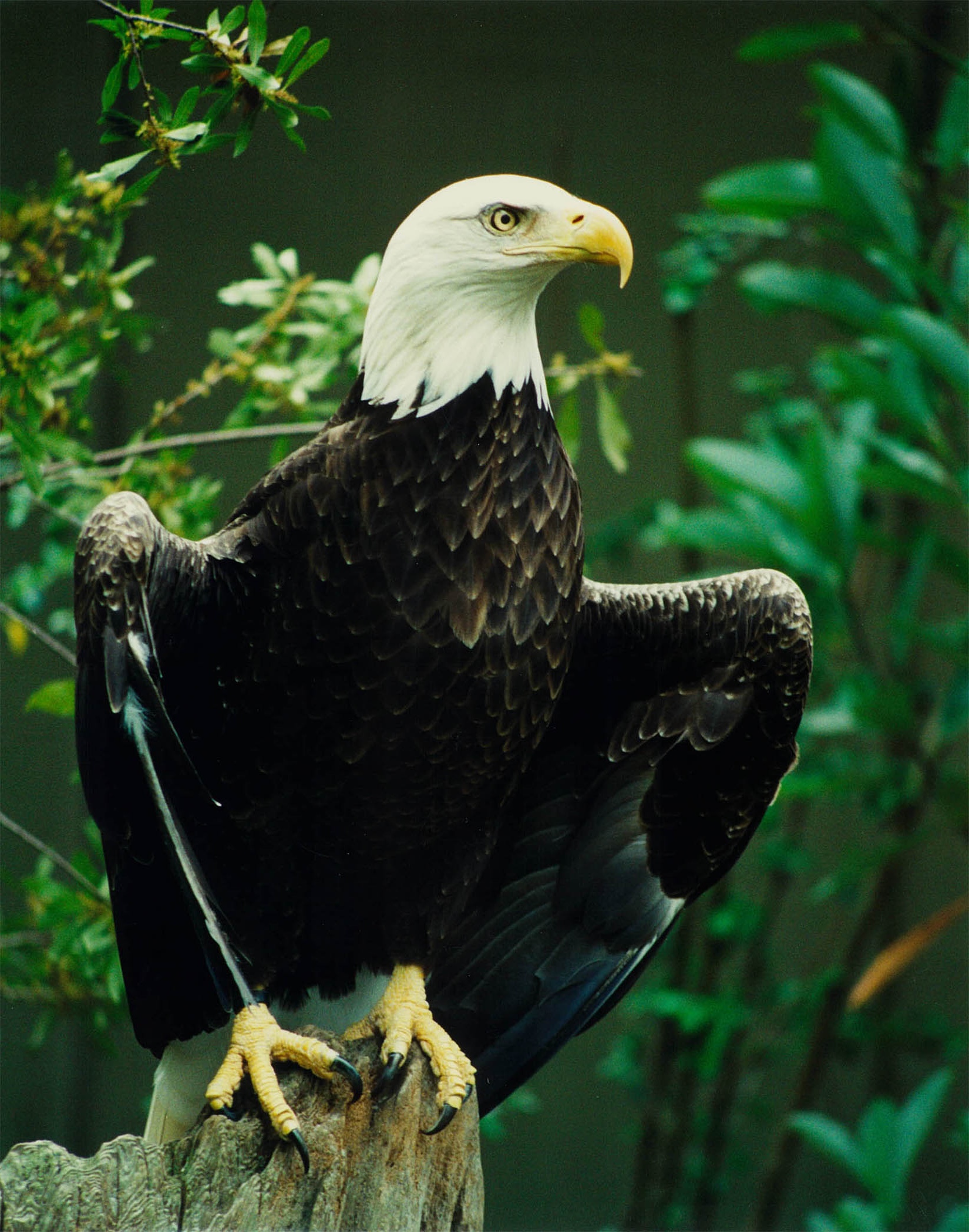 Book Store — Ted Schiffman Photography