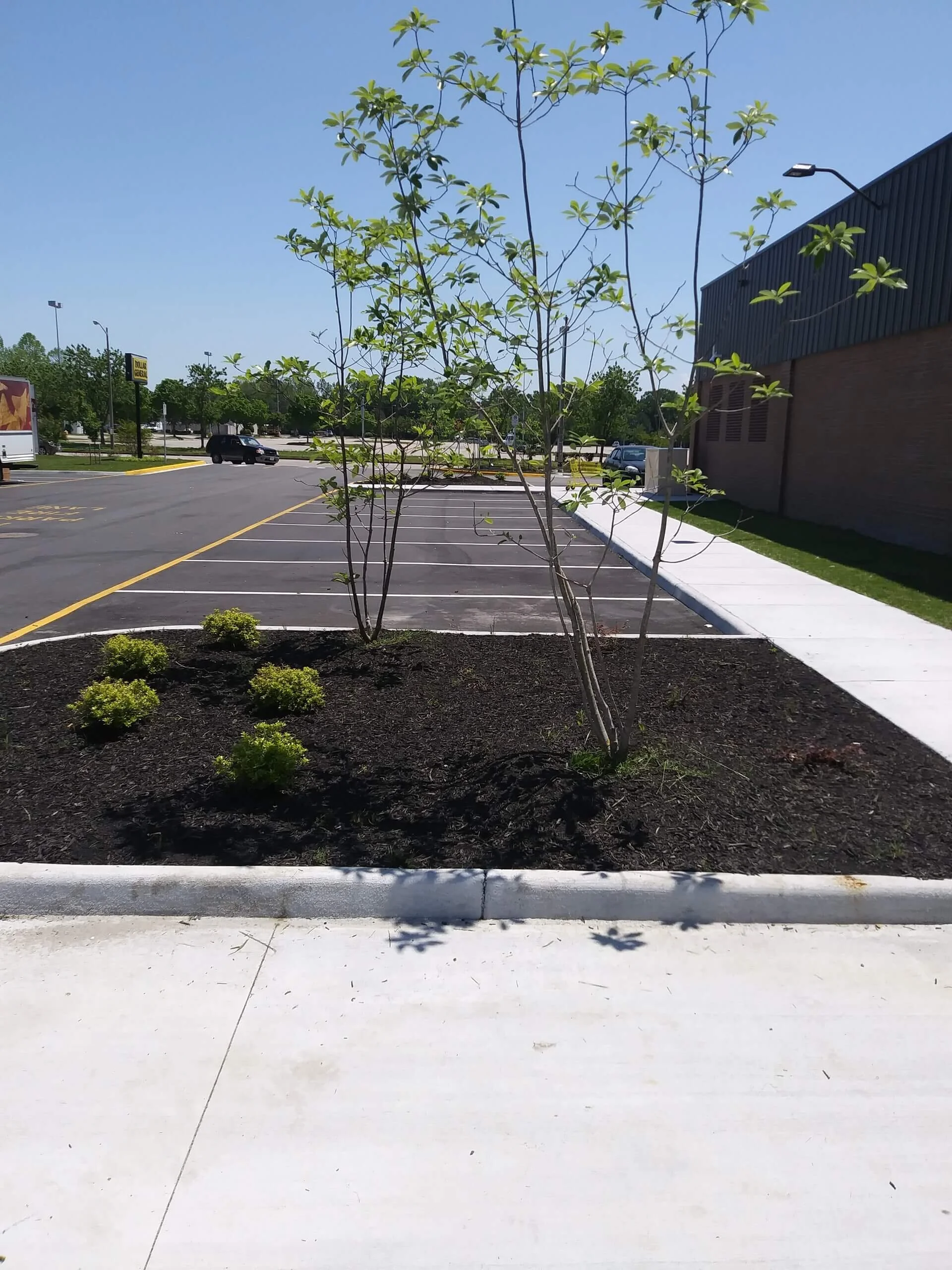 Gallery — Great Cuts Lawn and Property Care