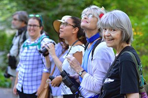 CARTER BURDEN LUNCHEON CLUB & OLDER ADULT PROGRAM — Carter Burden Network