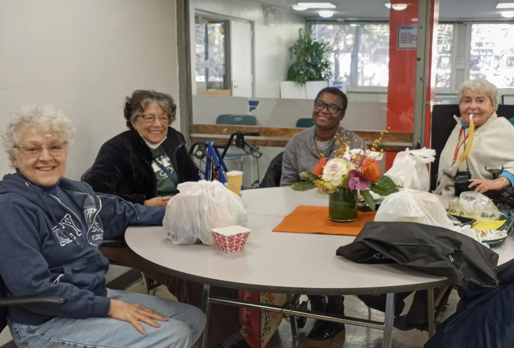 OLDER ADULT CENTERS — Carter Burden Network