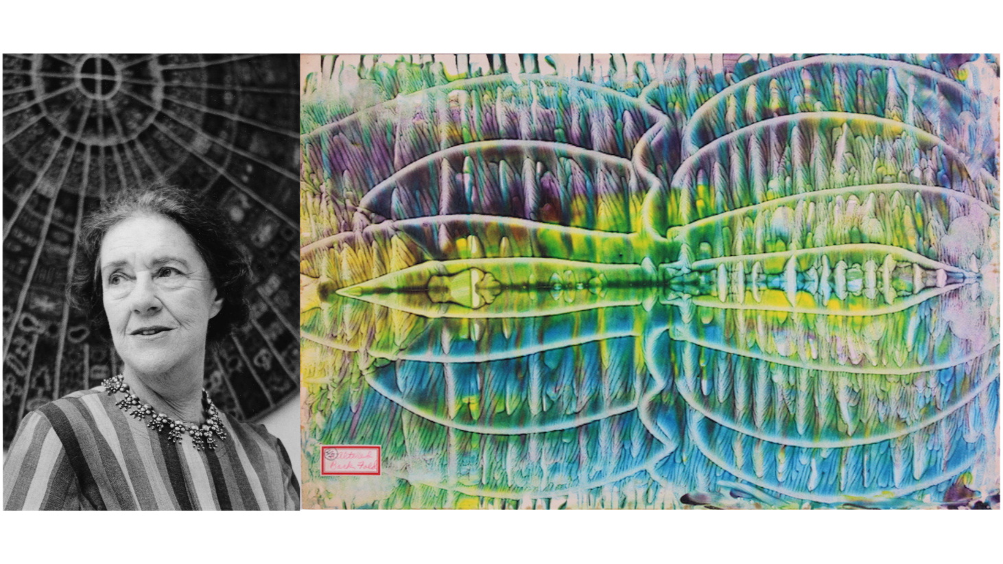 Public Lecture: "Whole Palm Spread: Rhoda Kellogg and the Biology of ...