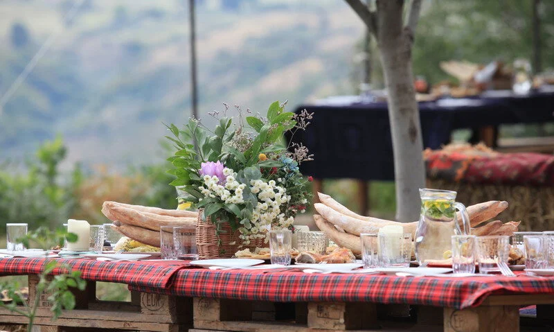 Travel to Georgia: Reserve the Lost Ridge Inn at Qedeli Village — MIR ...