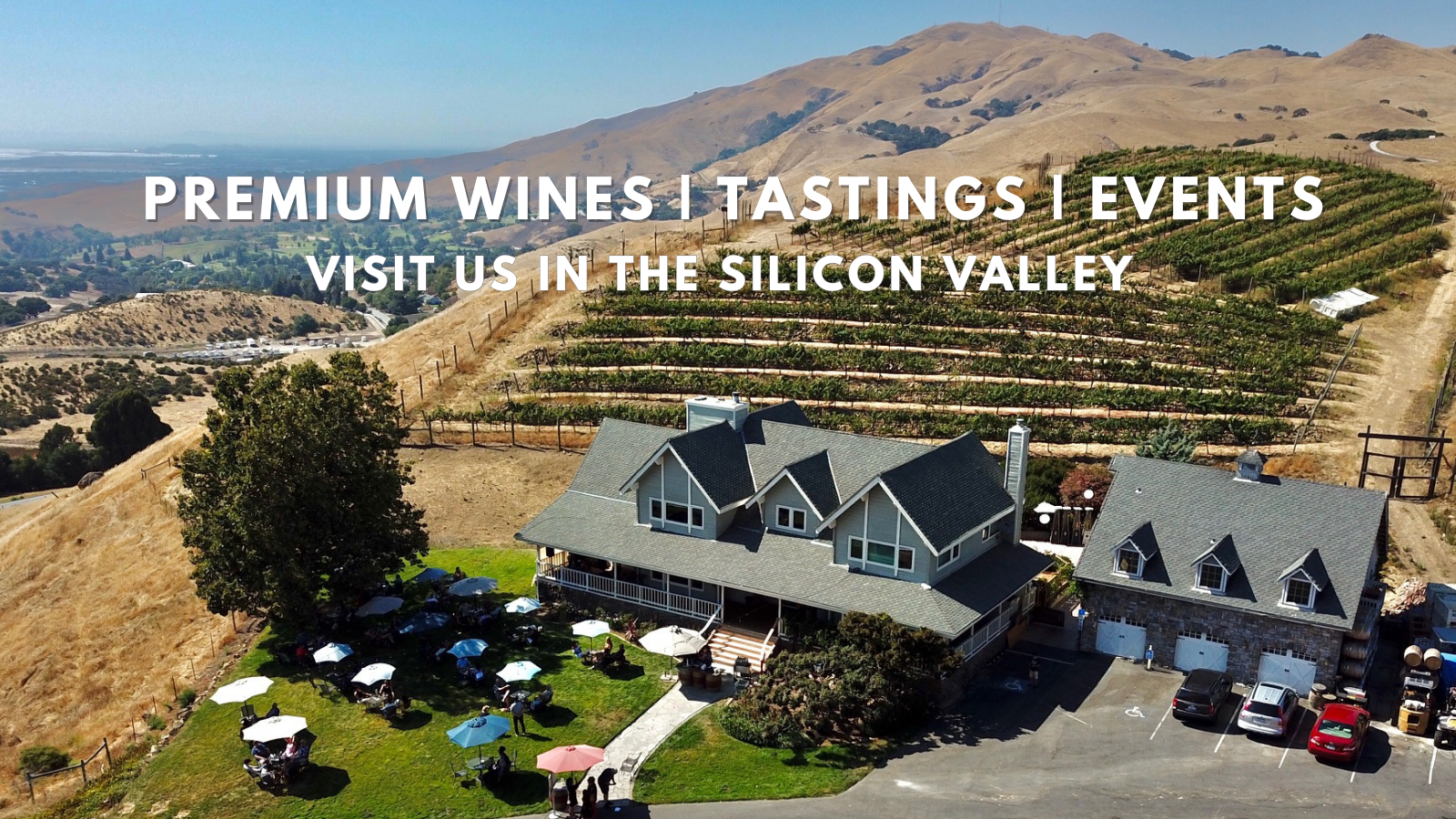 Big Dog Vineyards