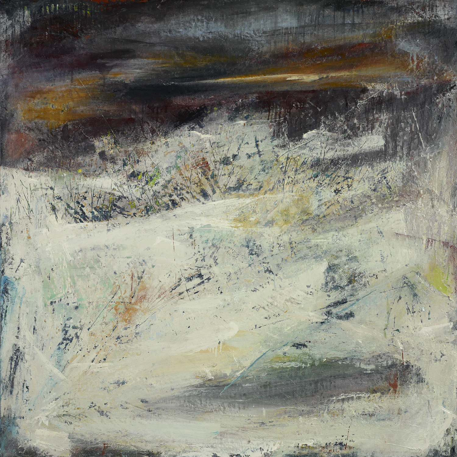 Archive - Private Collections — Maxine Solomon