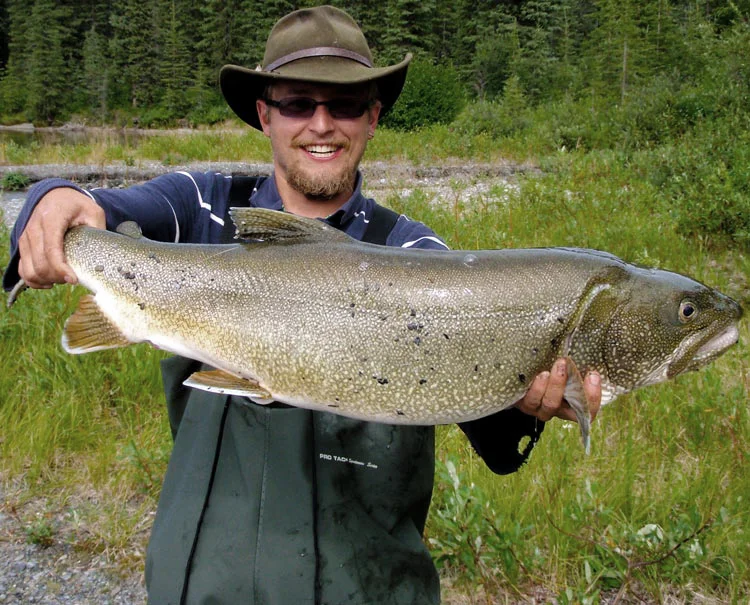 Netson Lake Outpost — Northern Rockies Adventures Fly in Fishing Trips ...