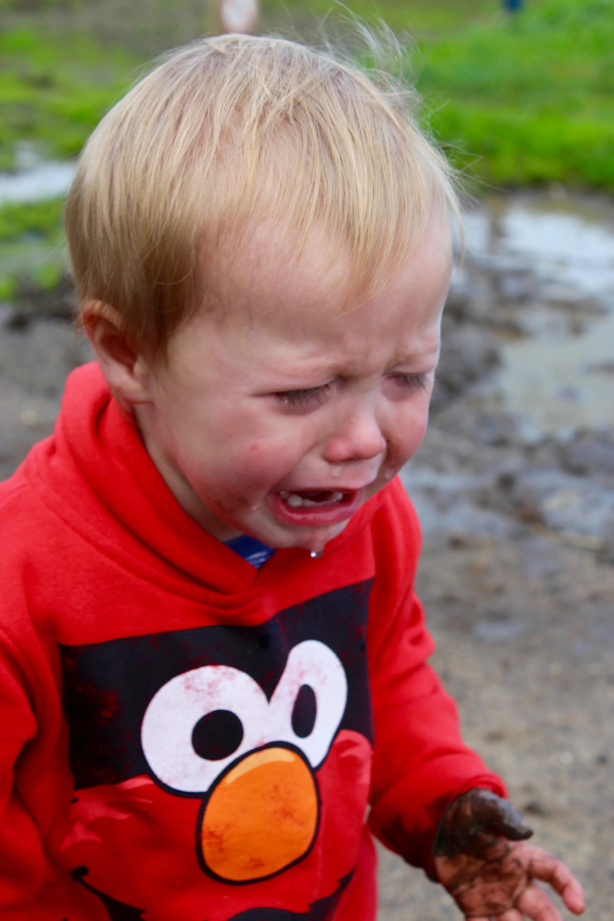 When Your Child Is Hurting Little Bluebirds