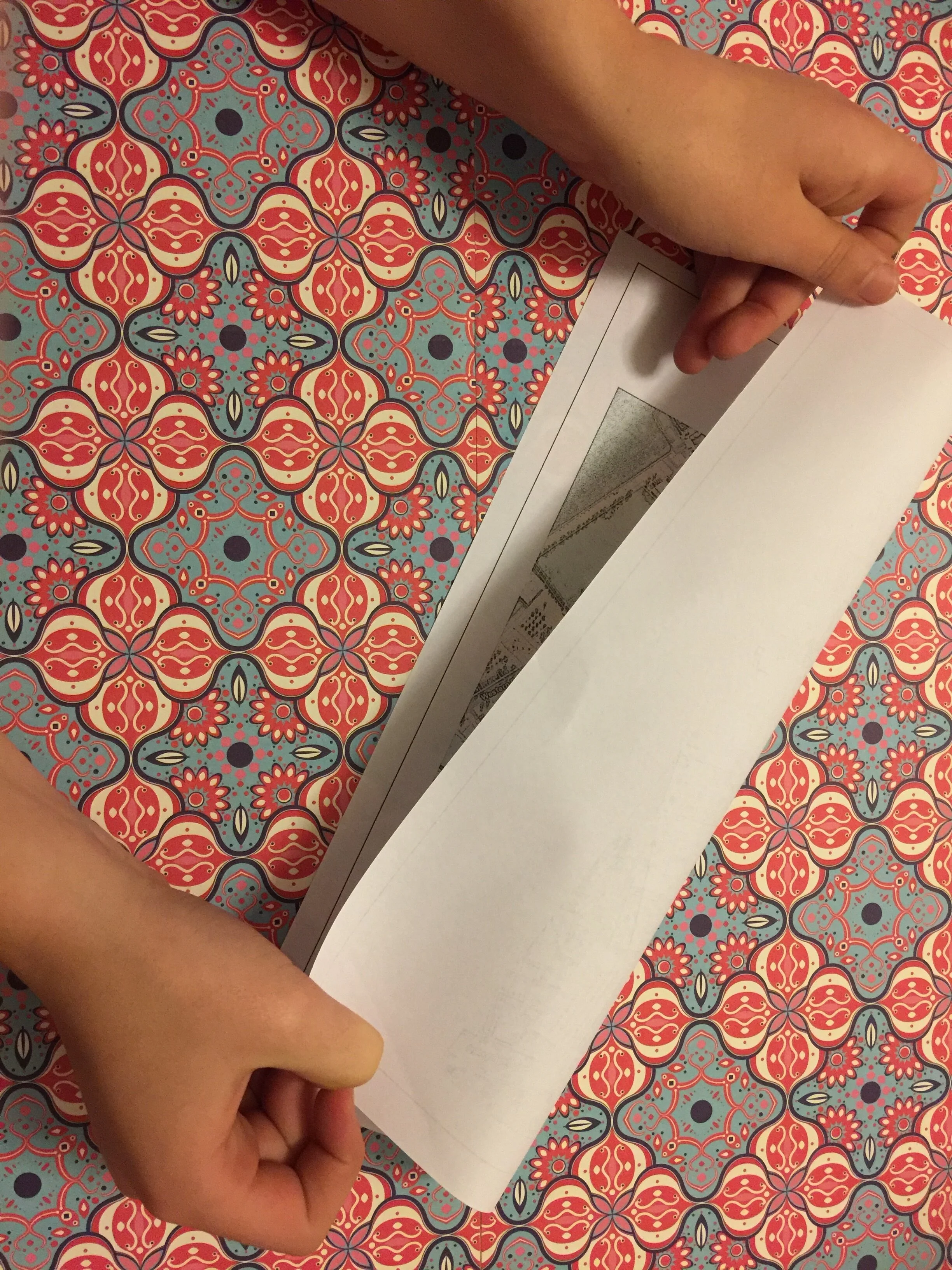 Simple ideas, tricky times — little bluebirds