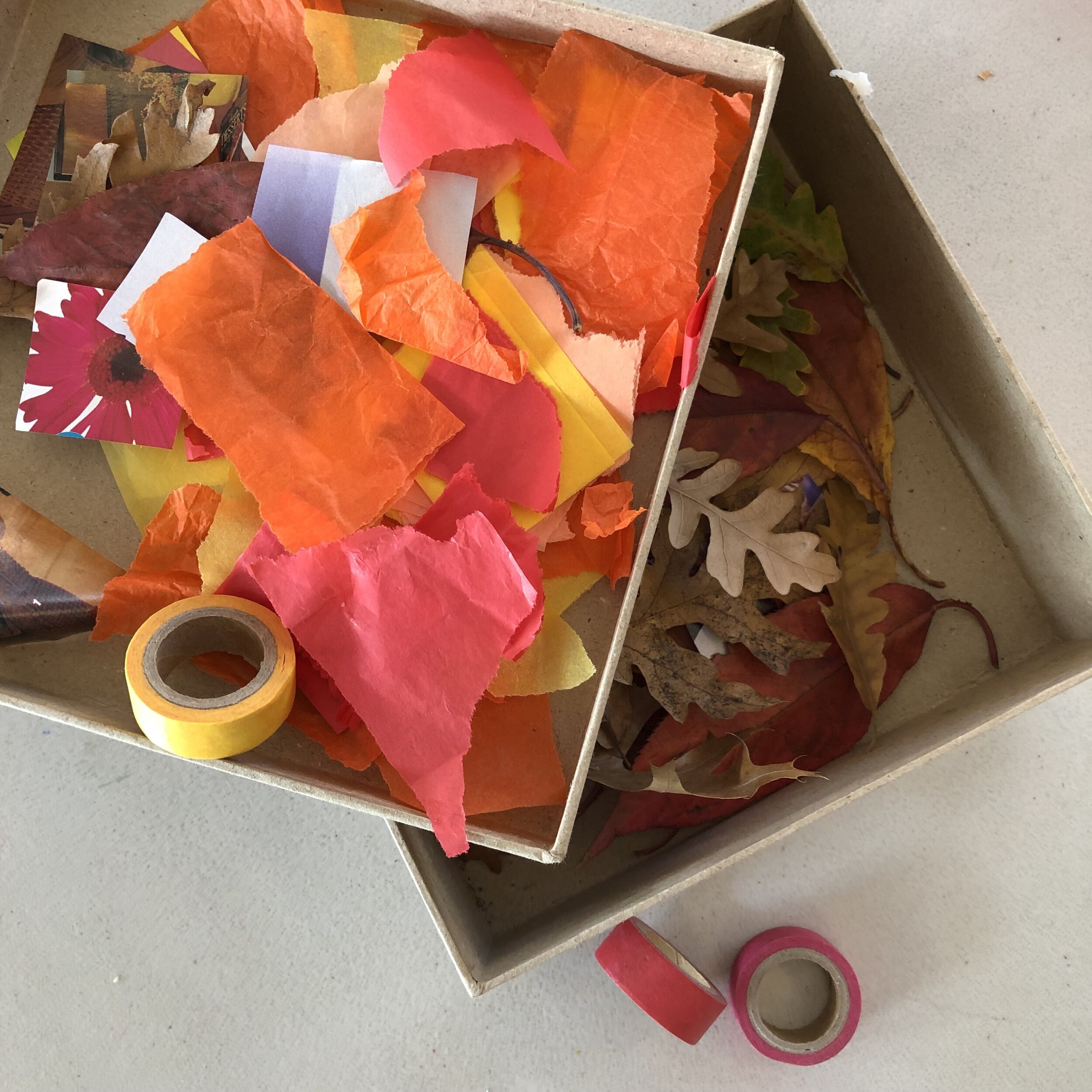 Announcing Autumn — little bluebirds