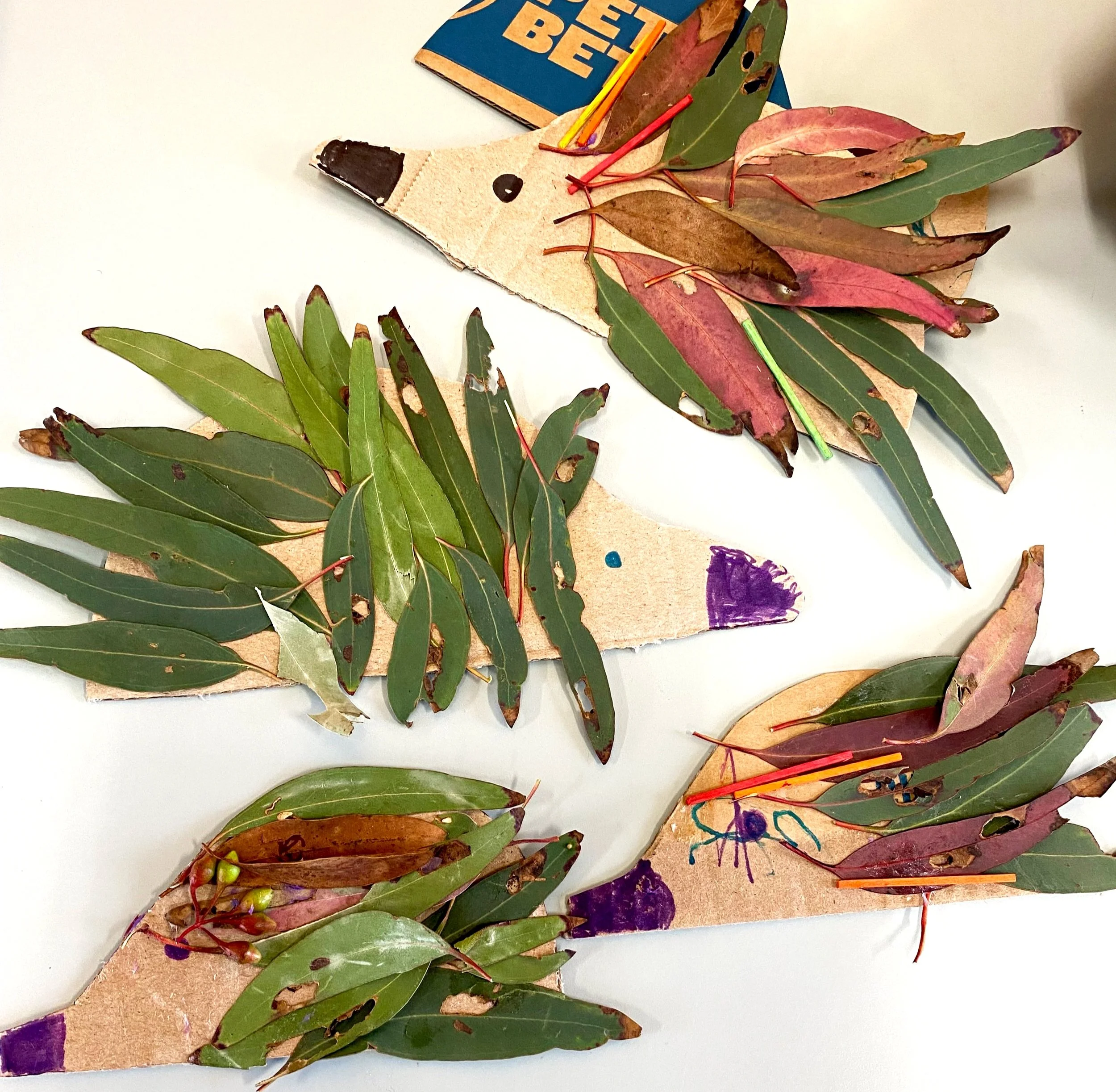 Preschool Crafts For Echidna