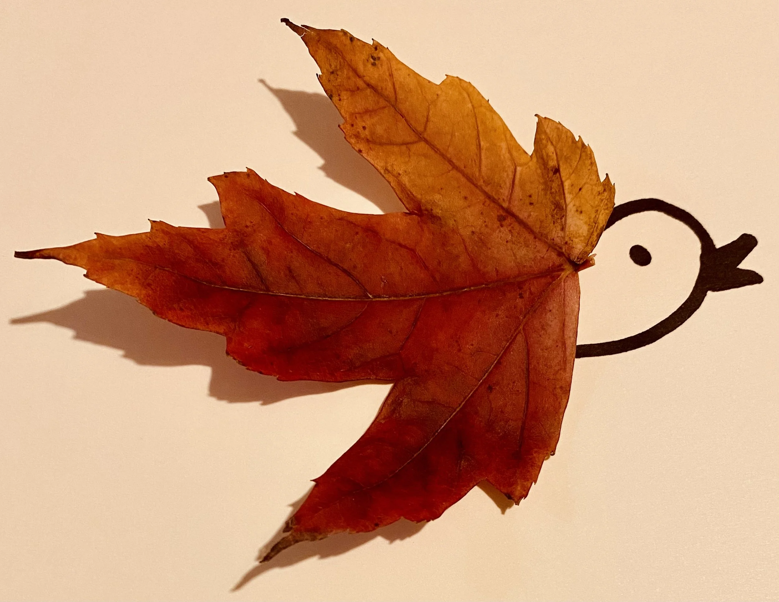 Turning over a new leaf — little bluebirds