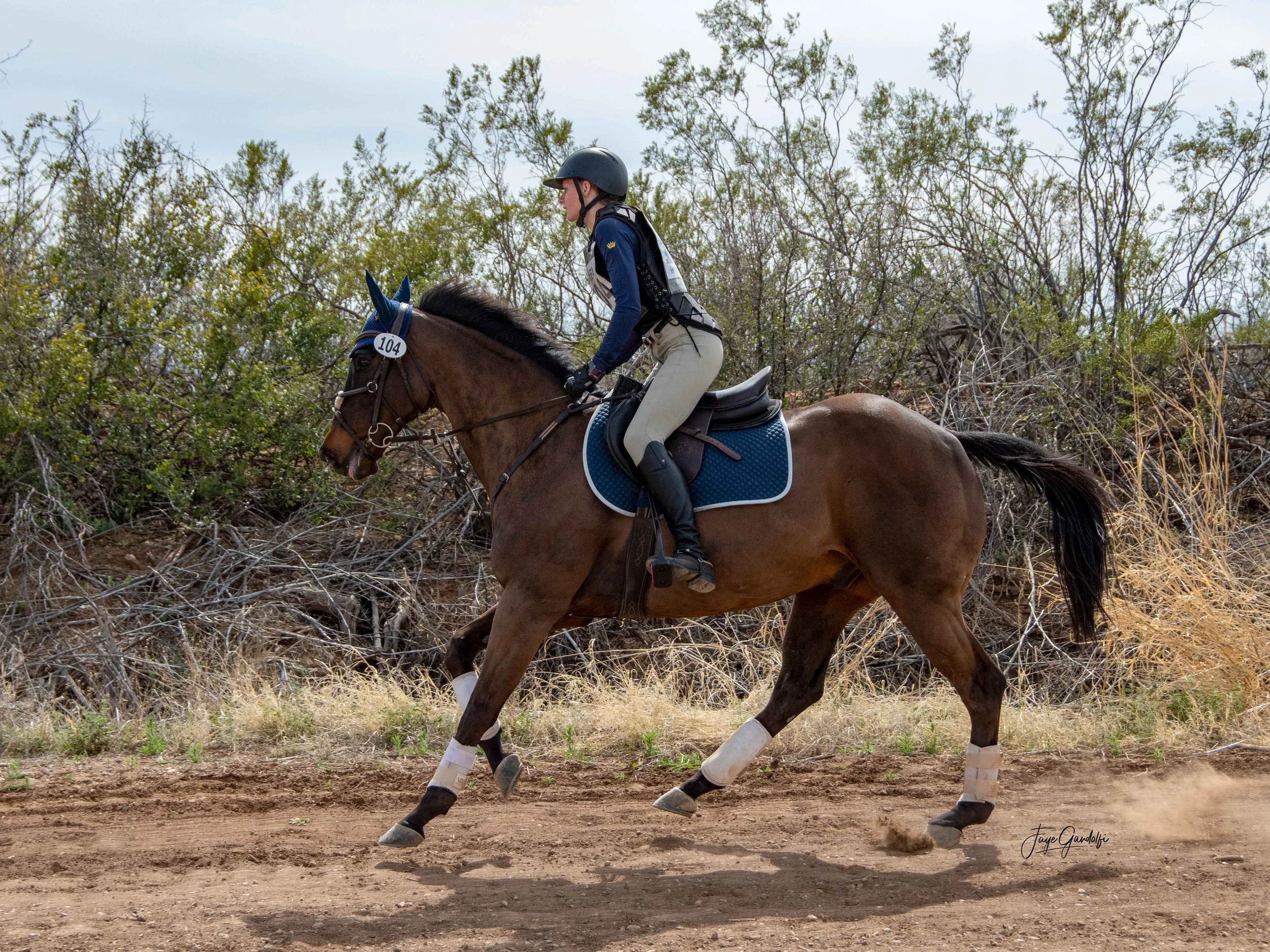 Calendar — Southern Arizona Eventing Association