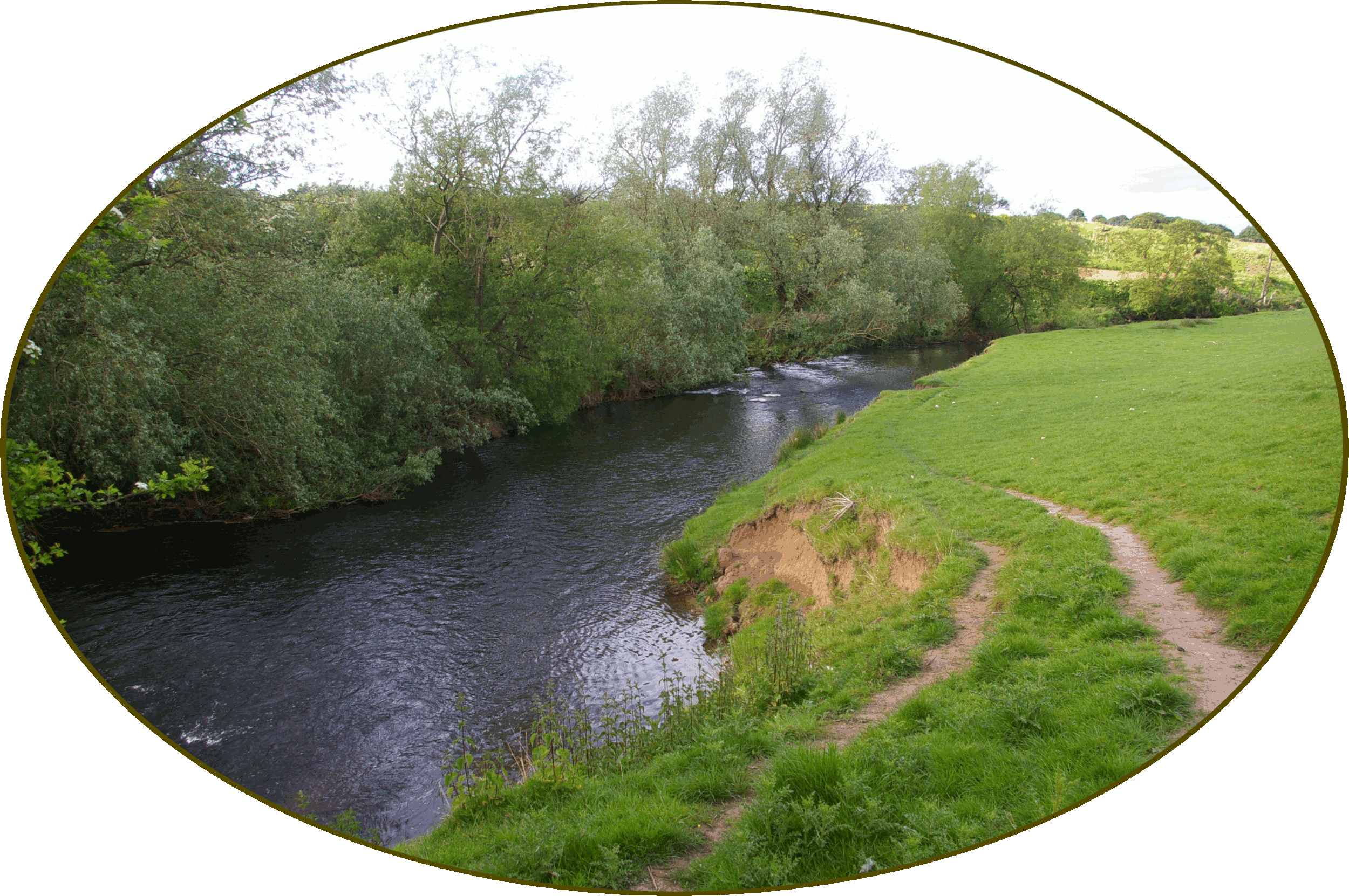 The River — Eden Angling Association