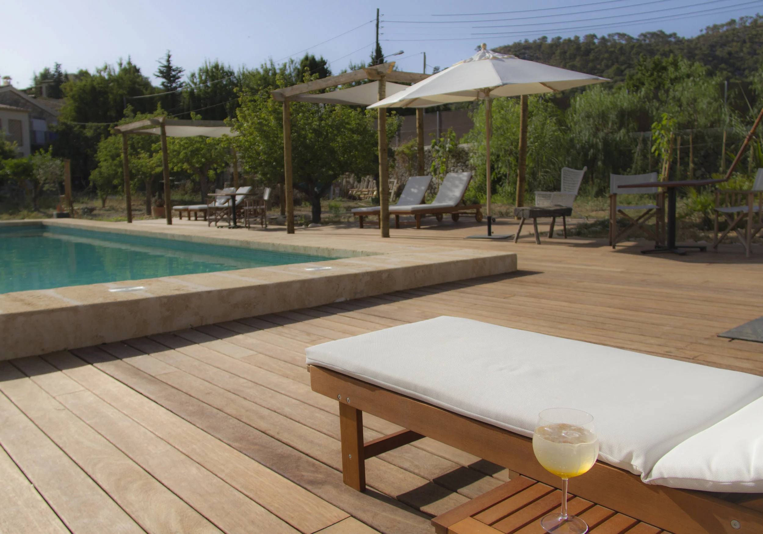 Gallery — The pink pepper tree