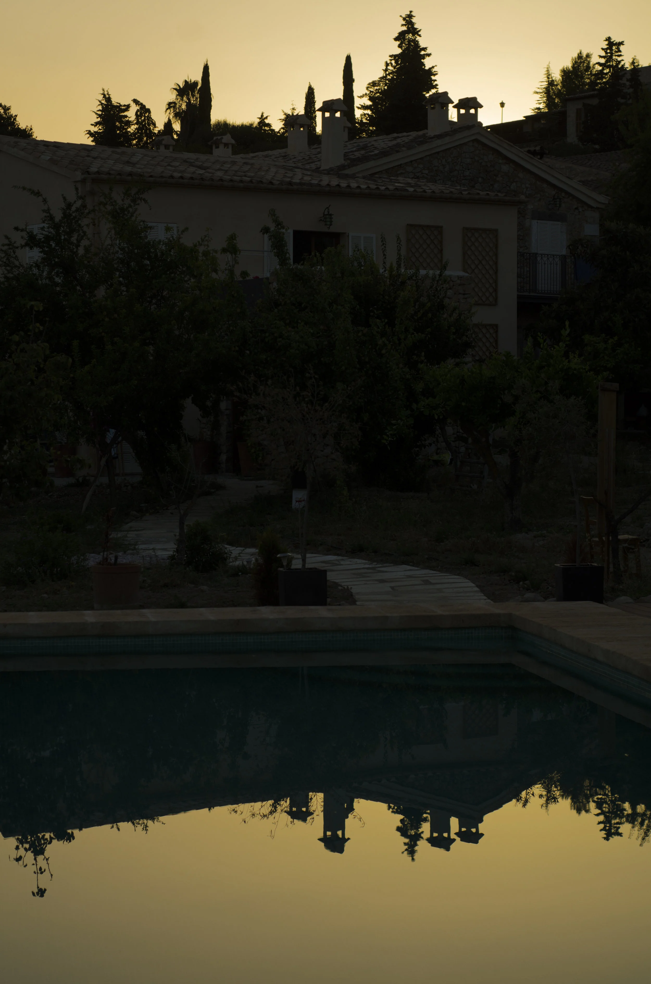 Gallery — The pink pepper tree