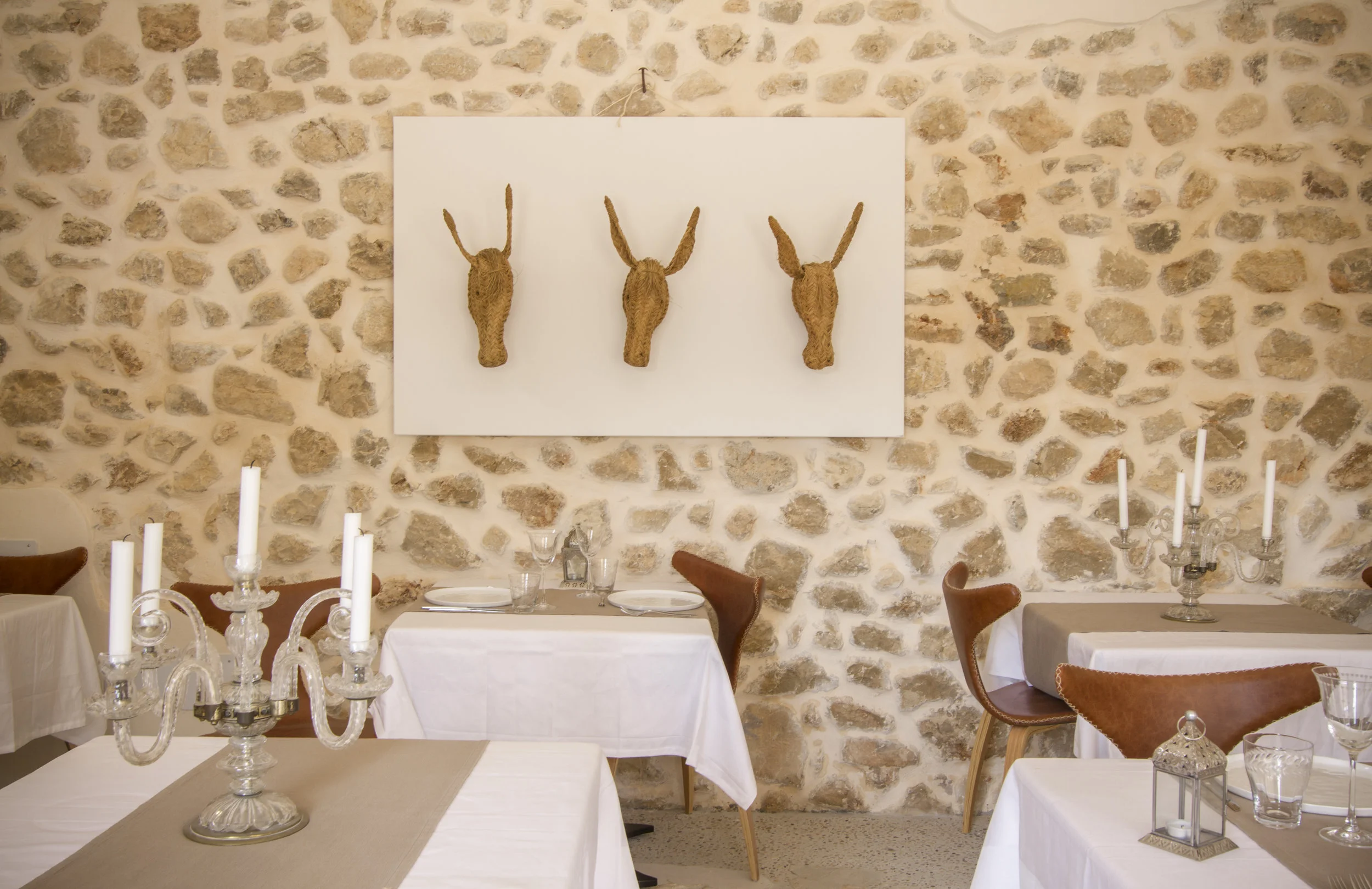 Gallery — The pink pepper tree