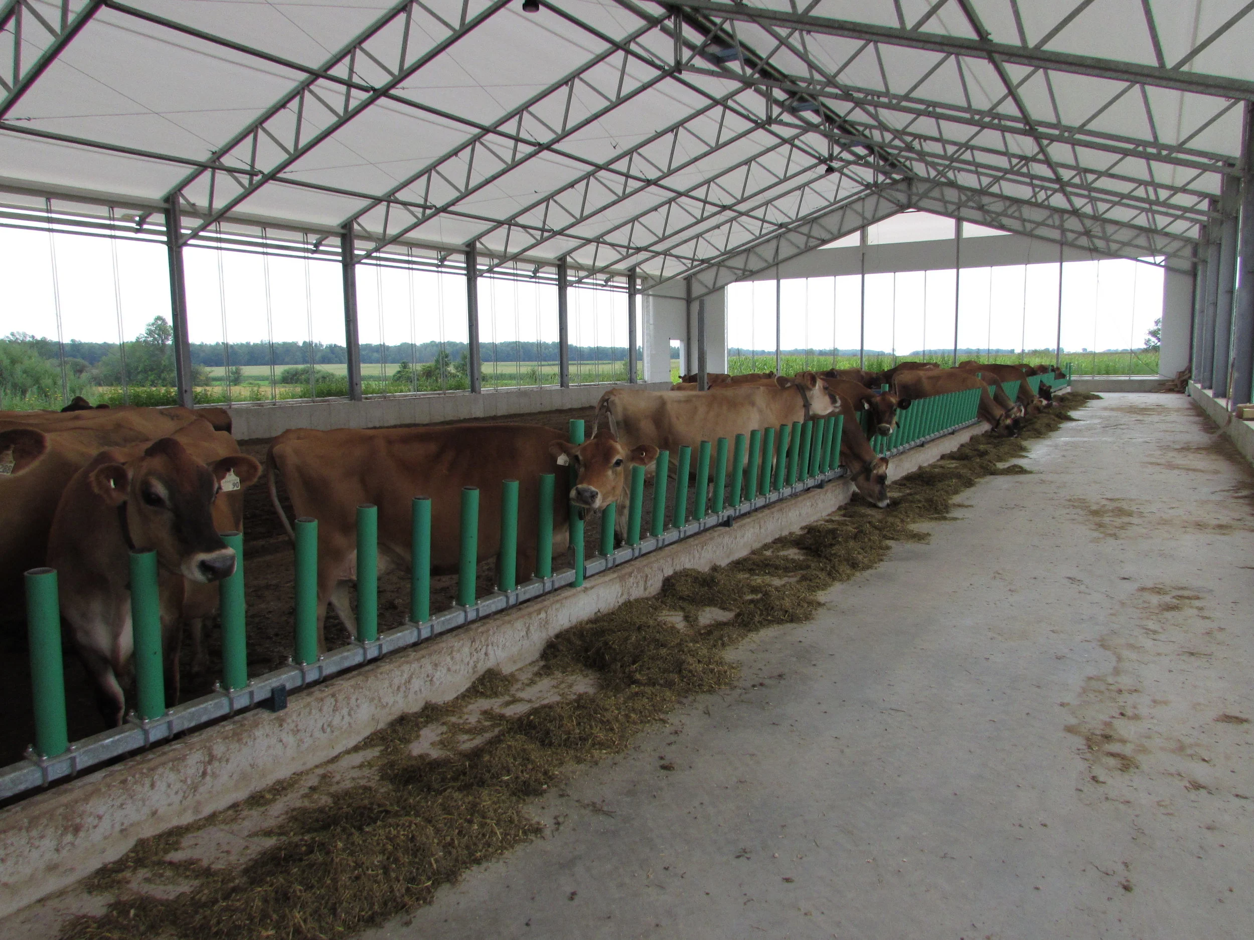 Ridgeline Structural Systems