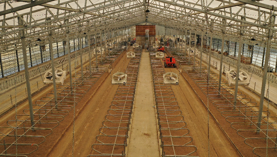 Ridgeline Structural Systems