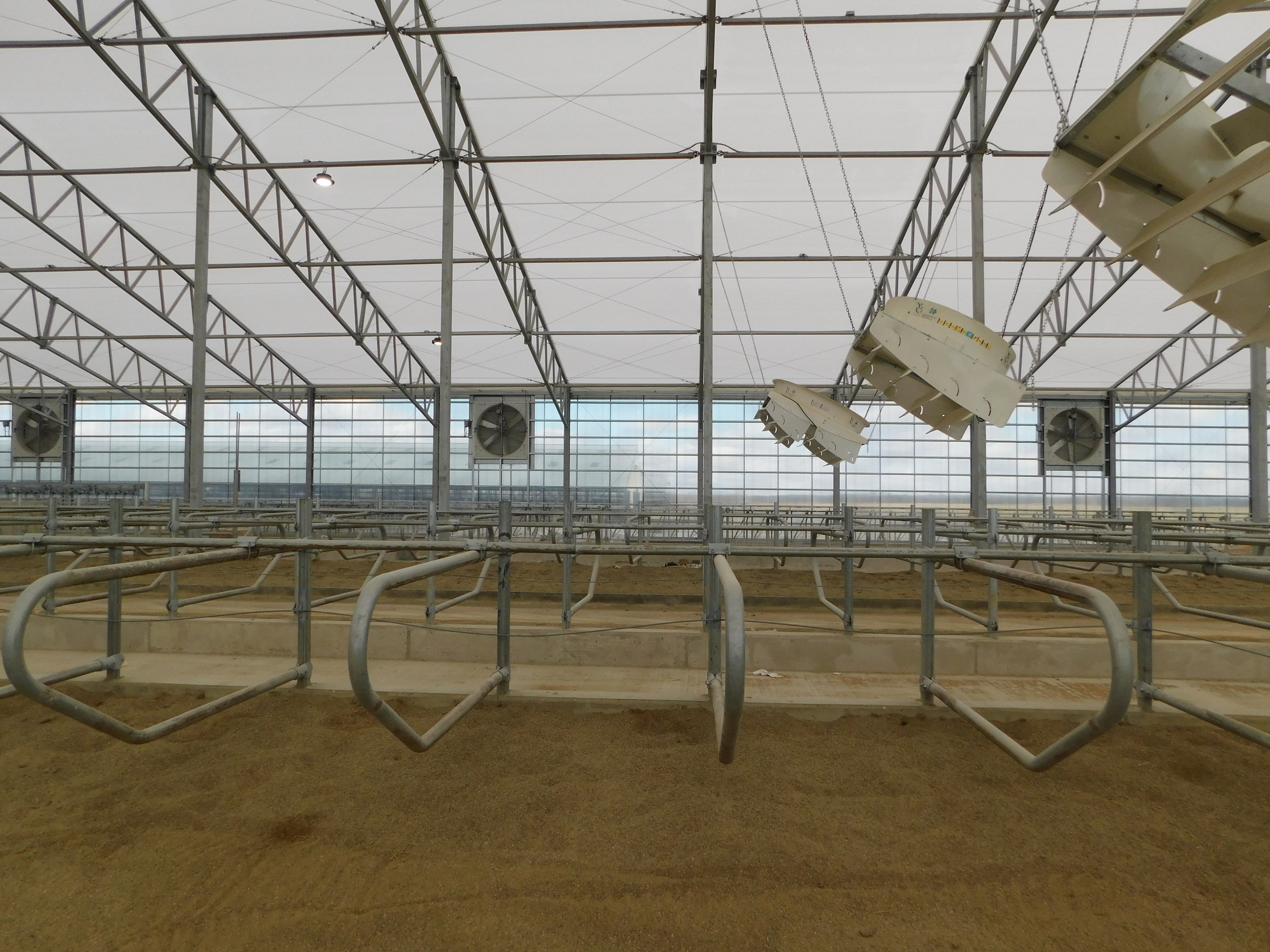 Ridgeline Structural Systems