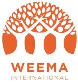 Team — Curious Learning