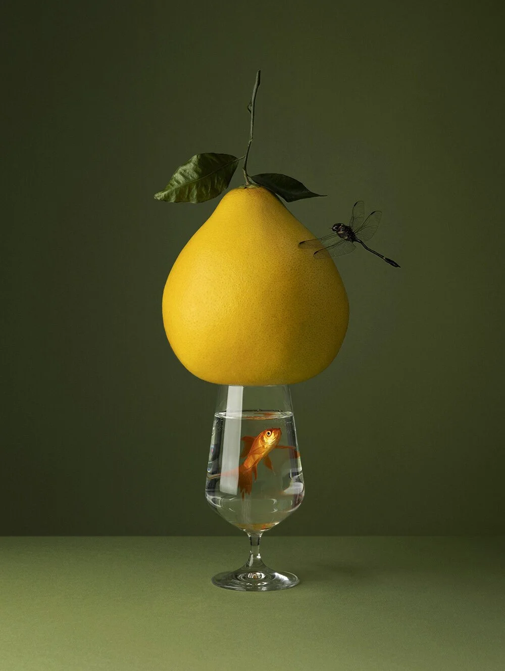 Vietnamese Urban Myths — Daniel Forero