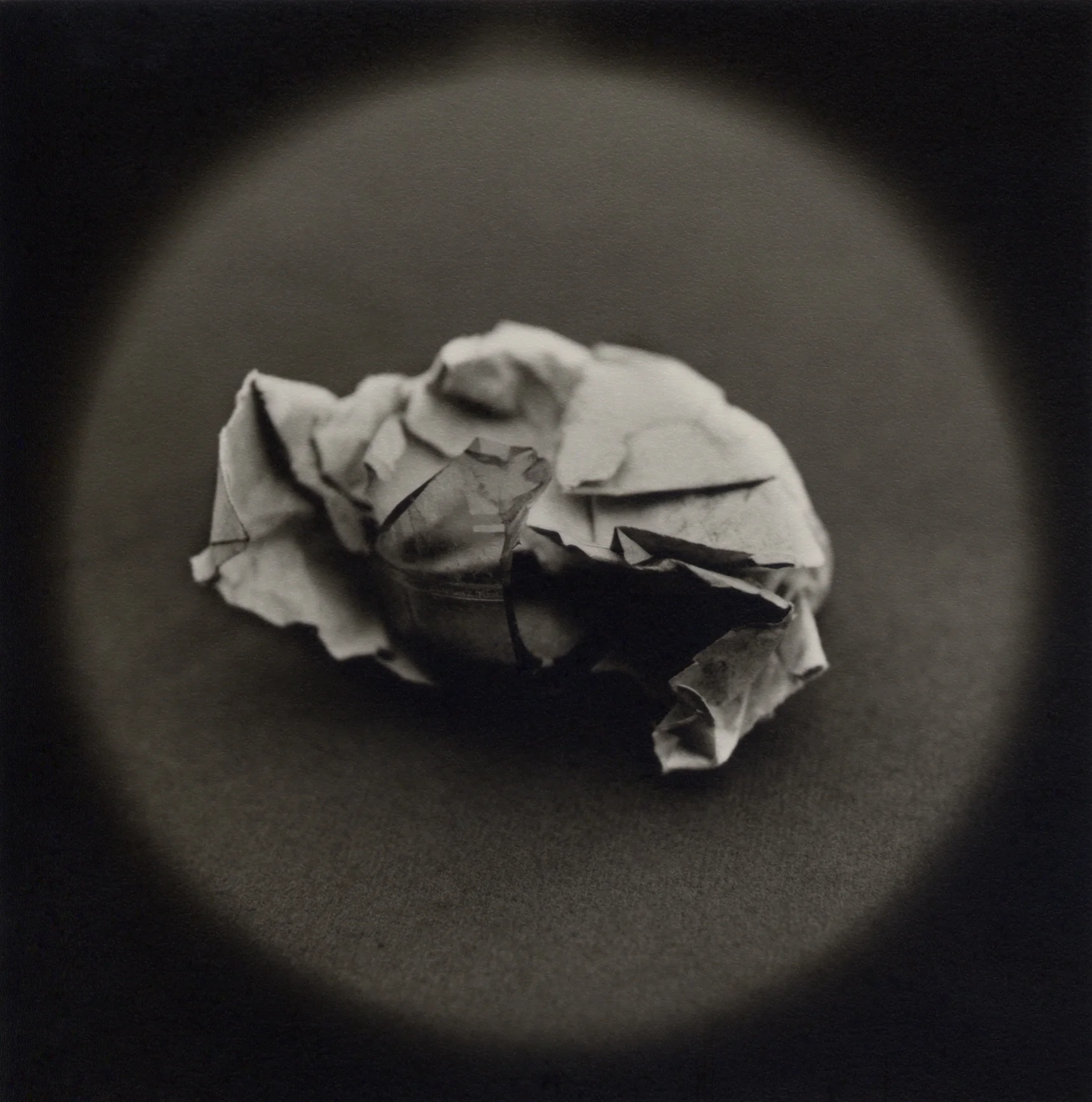 Milagros de la Torre