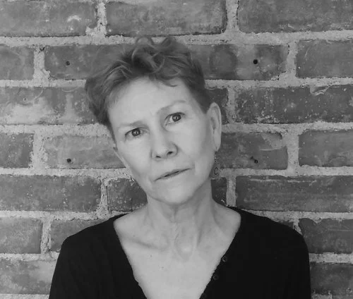 Cole Swensen — Les Fugitives