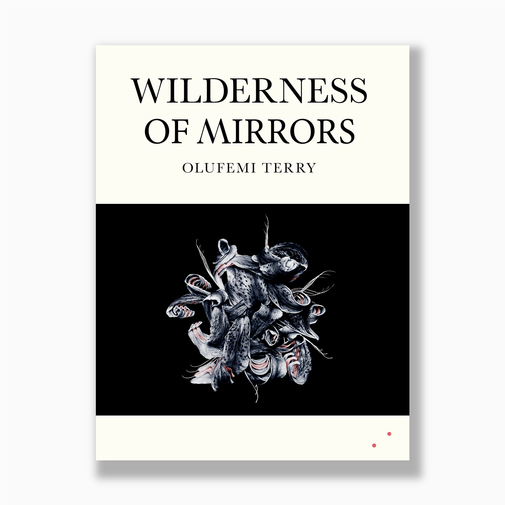Wilderness of Mirrors — Les Fugitives