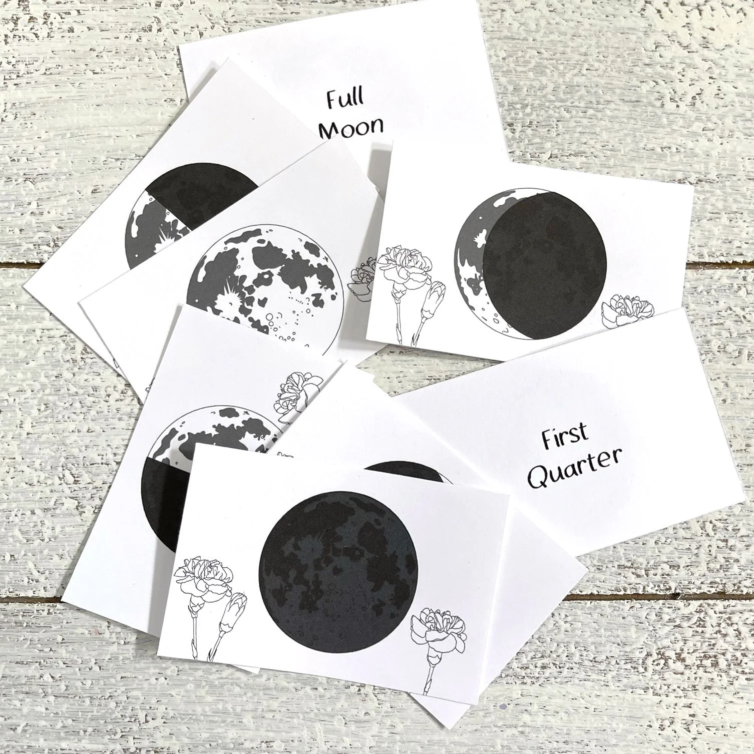 Moon Phases Flashcards | Olive Blossom Designs