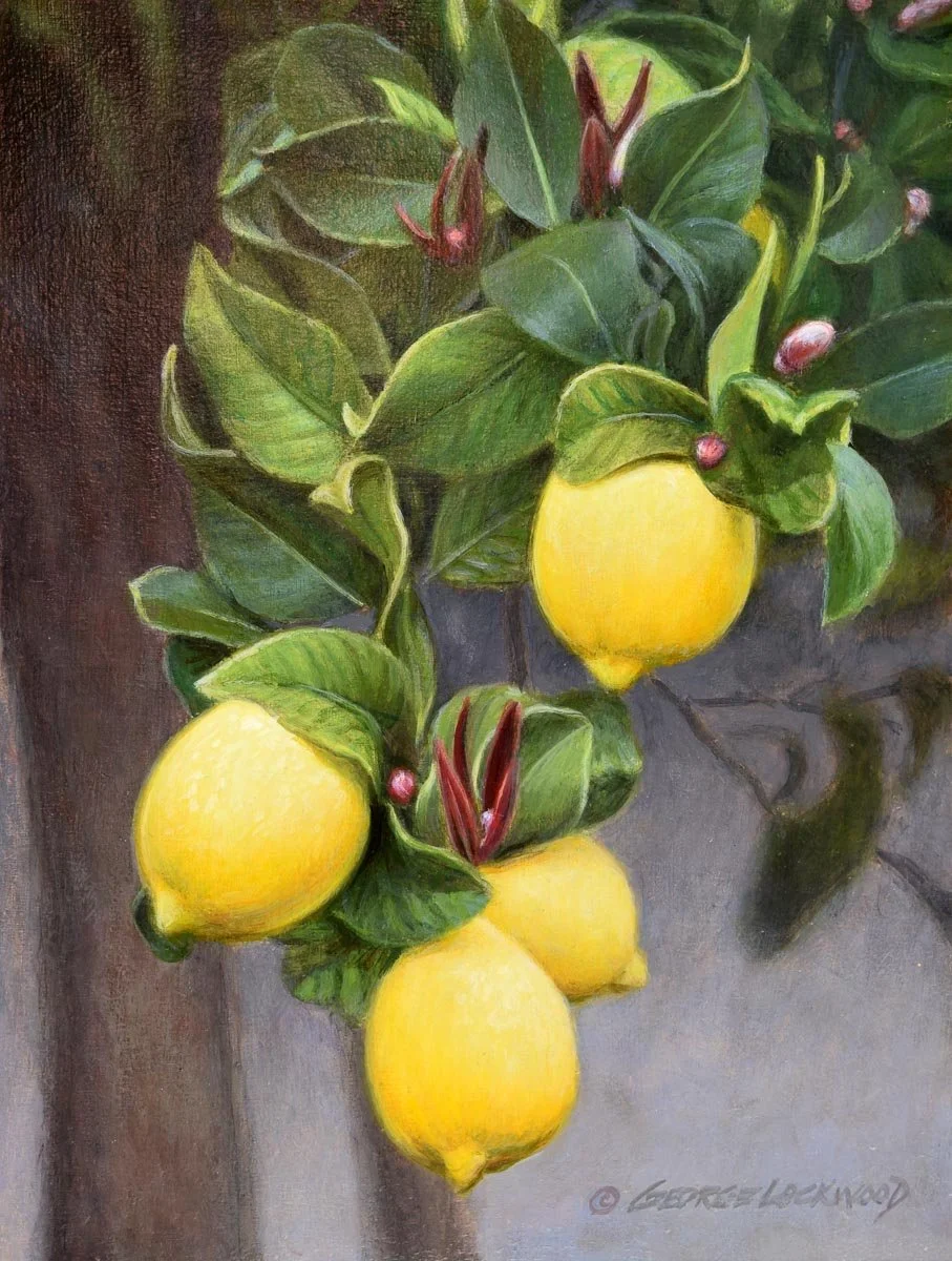 Santa Paula Art Museum — Current Exhibitions