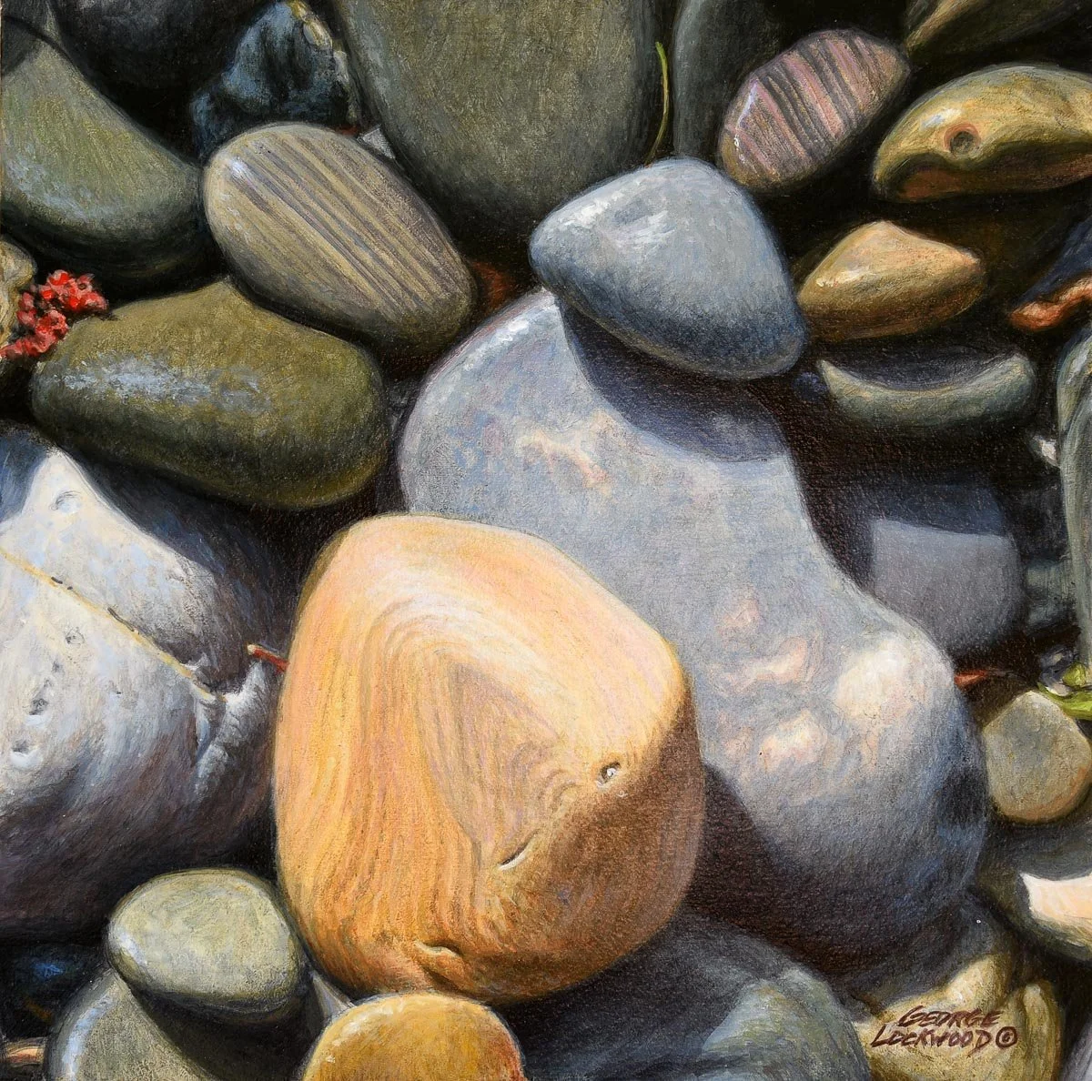 Santa Paula Art Museum — Current Exhibitions