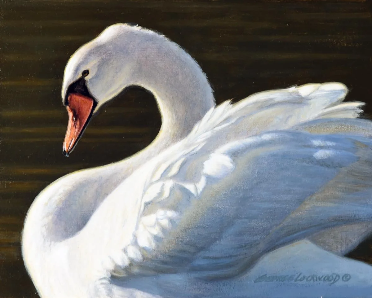Santa Paula Art Museum — Current Exhibitions