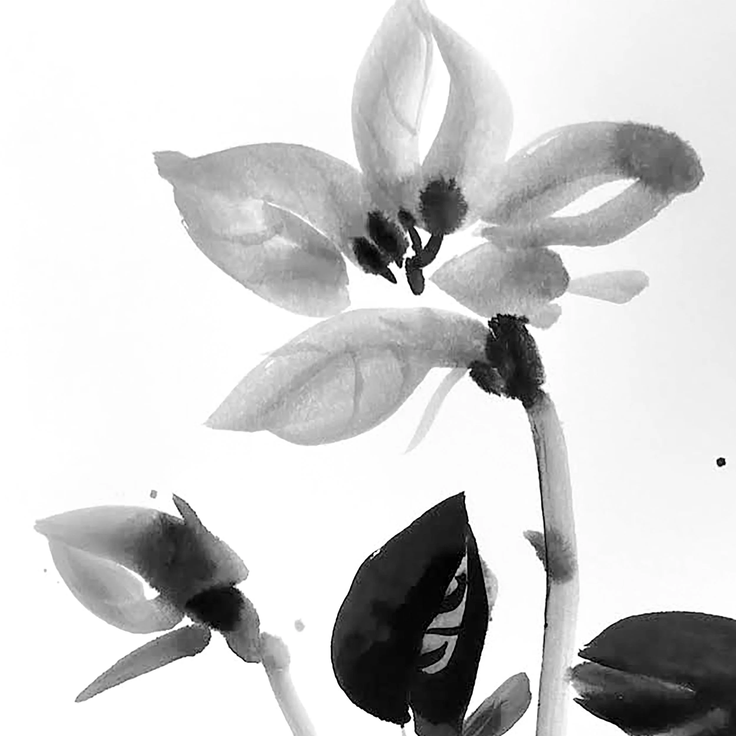 Santa Paula Art Museum — Cole Creativity Center