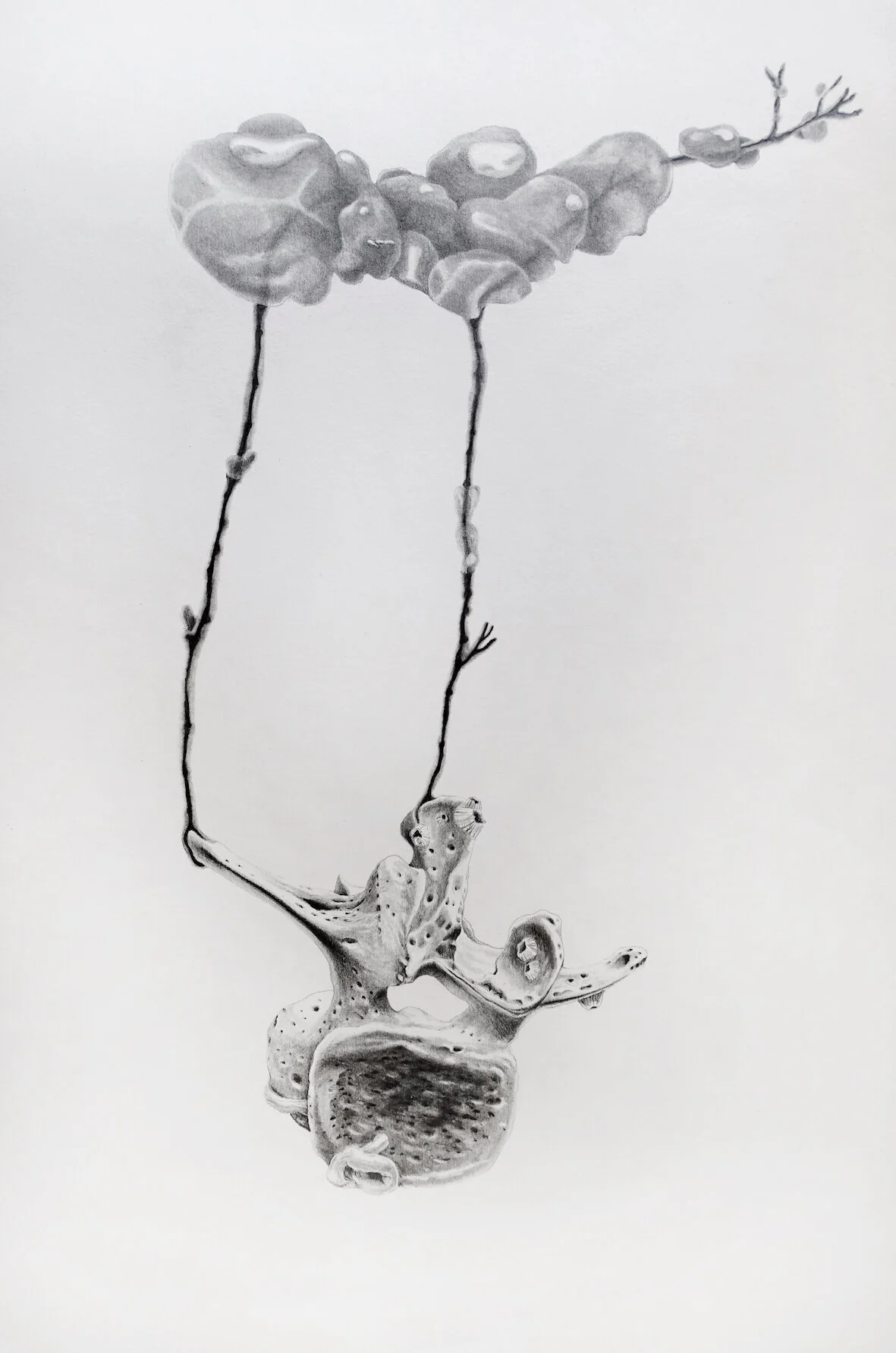 The Bone Thieves — Erin Coates