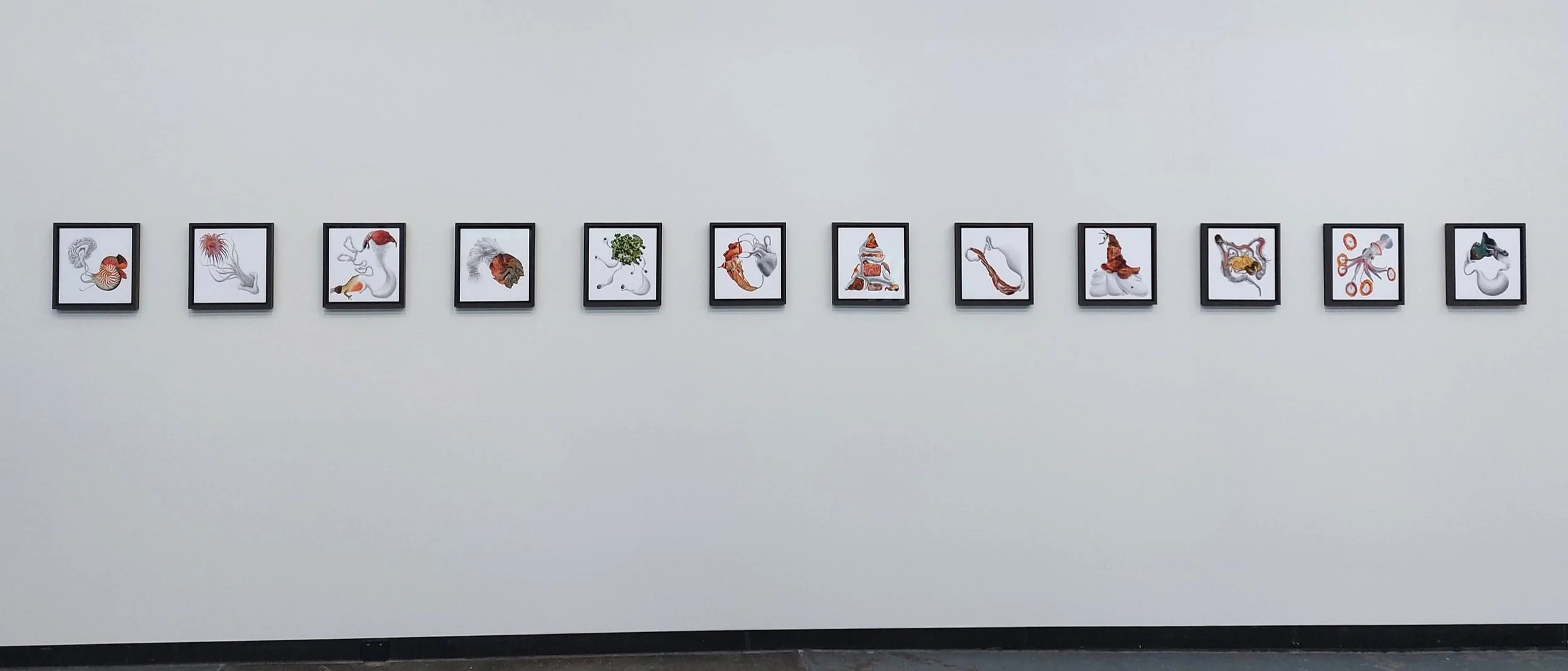Food Chains Erin Coates