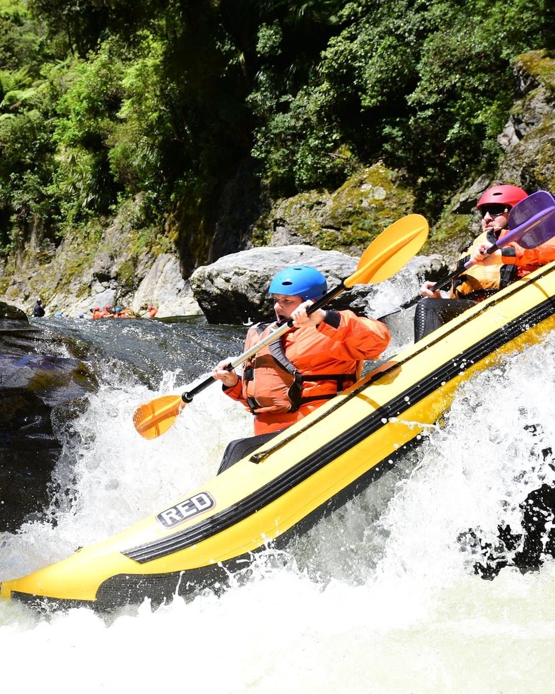 White Water Rafting @ Kaitoke — Wildfinder