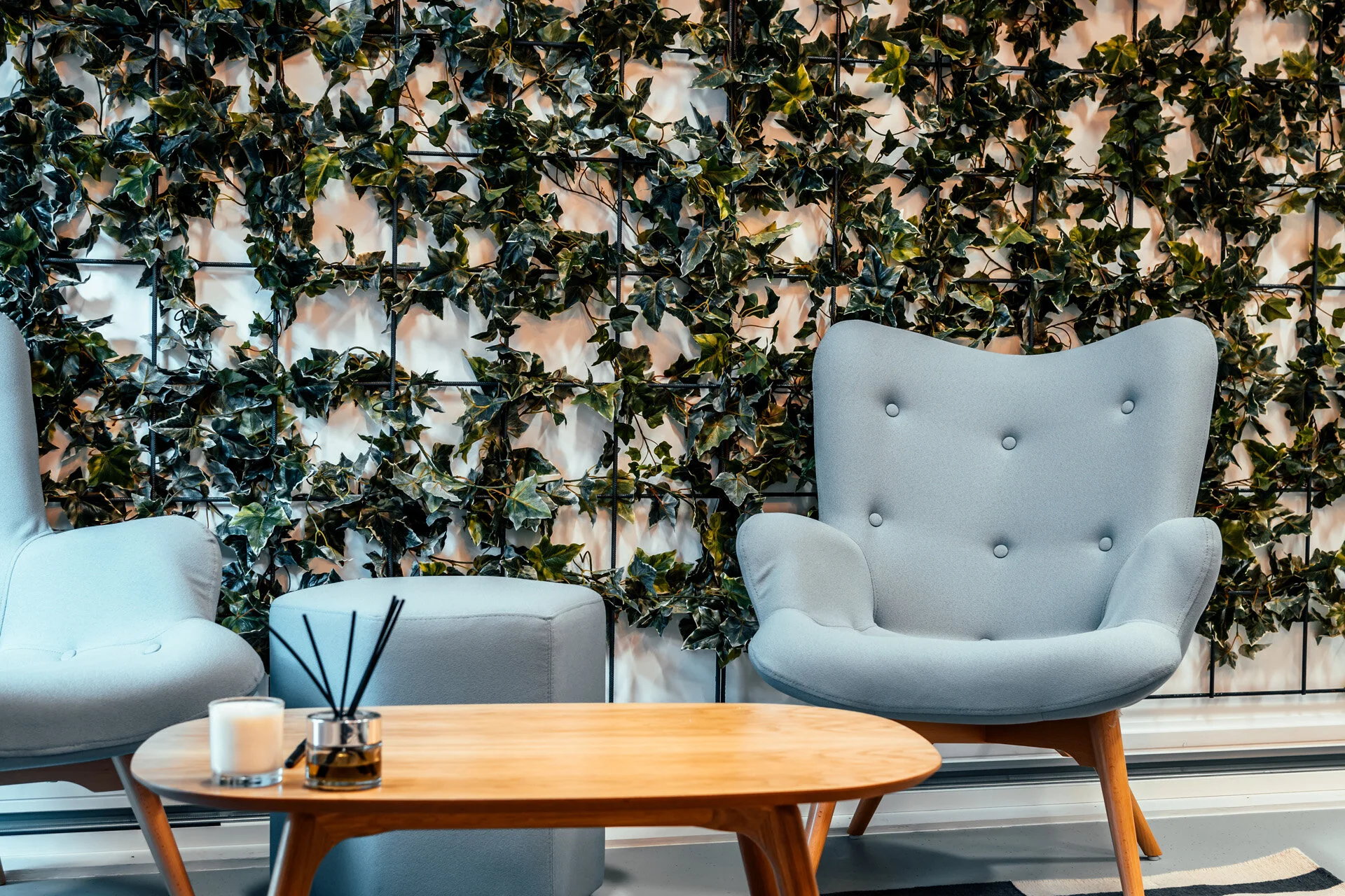 Veterinary Interior Design Solutions to Comfort Pets and People ...