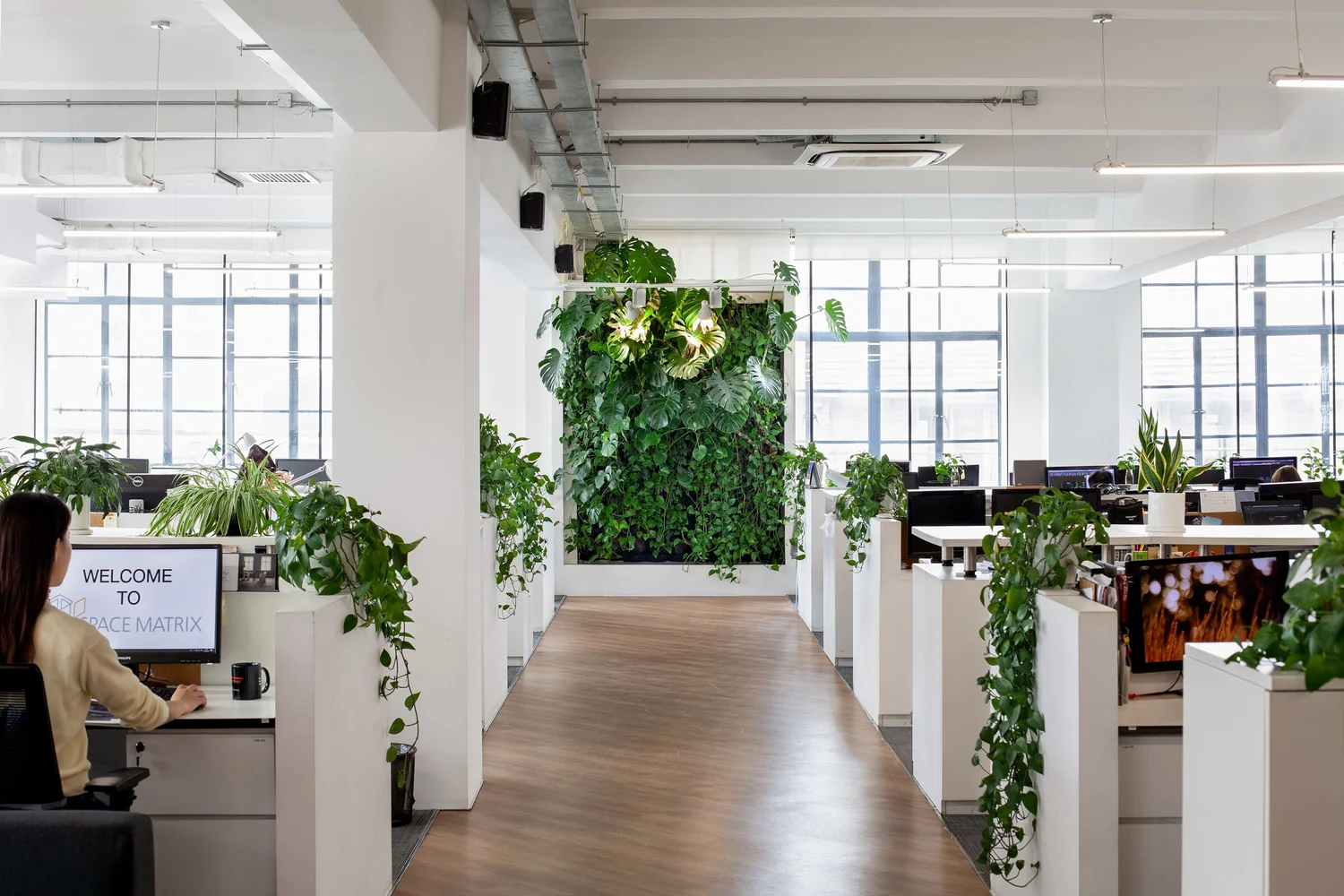 Why Multisensory Office Design is the Future | Absolute Commercial ...